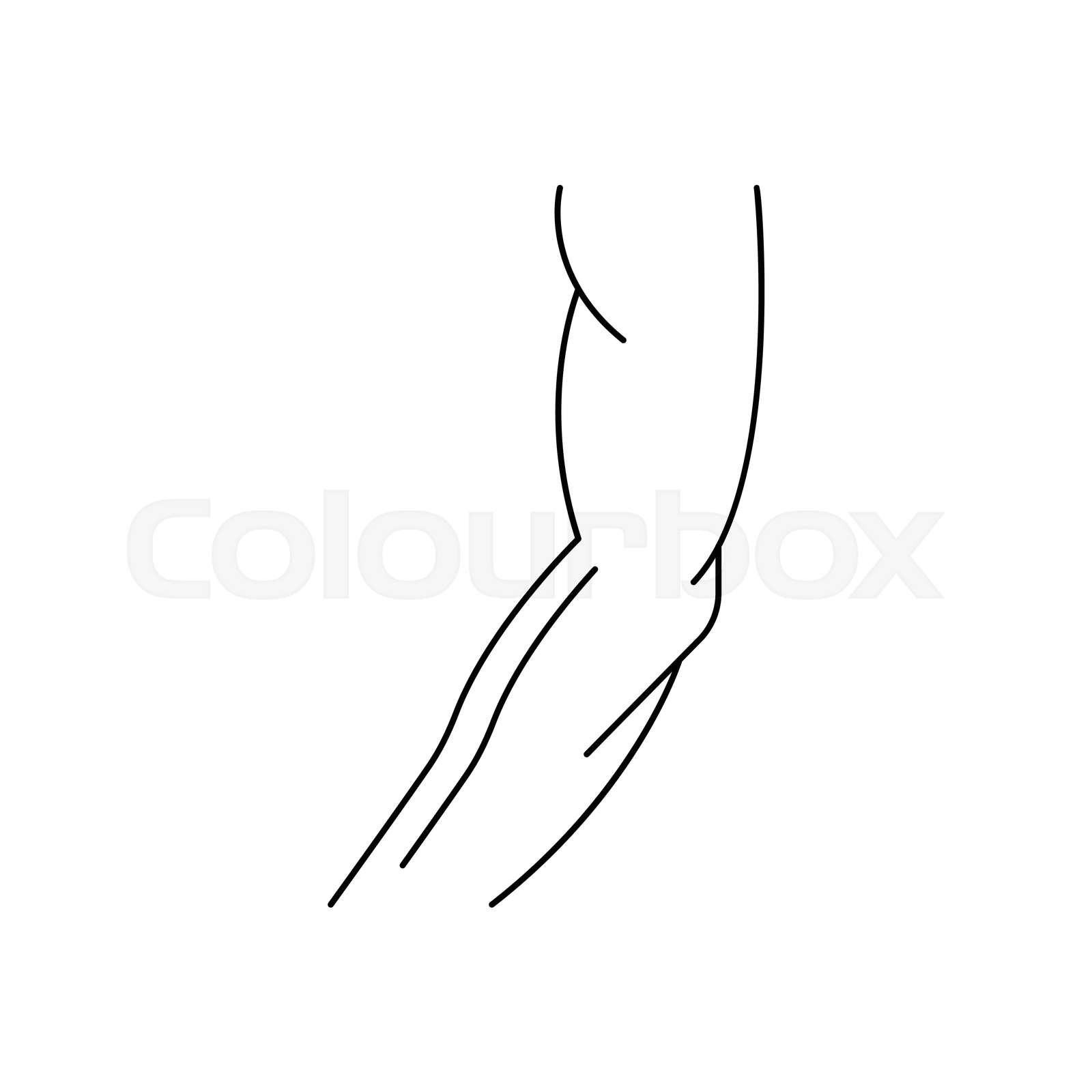 Elbow icon, outline style | Stock vector | Colourbox