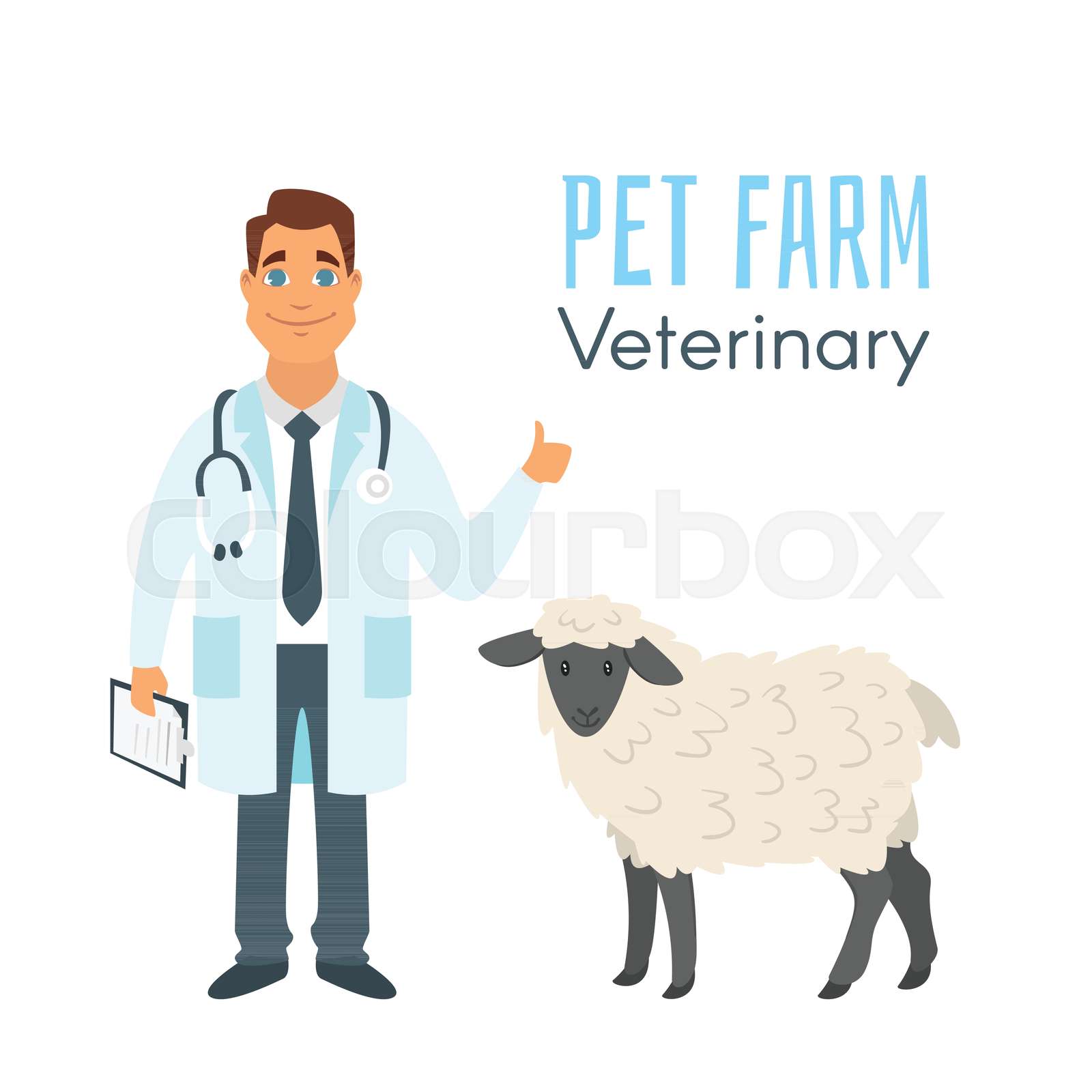 veterinarian doctor with sheep | Stock vector | Colourbox