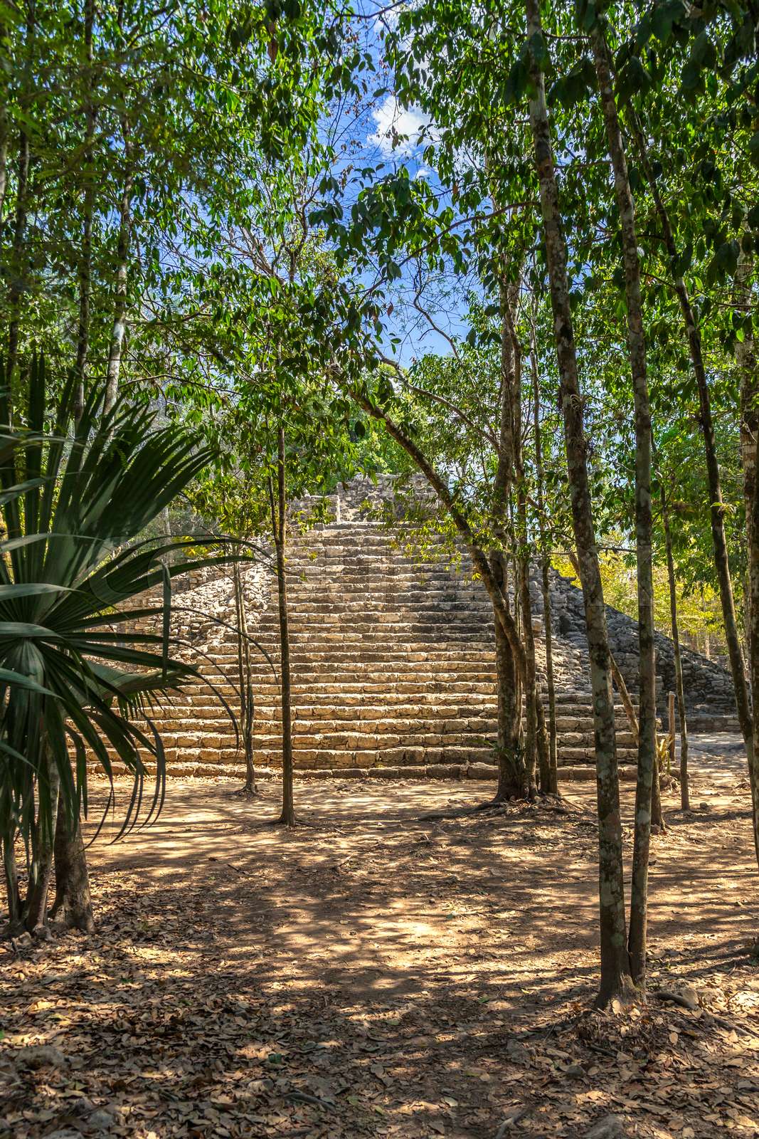 Small ancient pyramid of old Mayan civilization city hidden in the ...