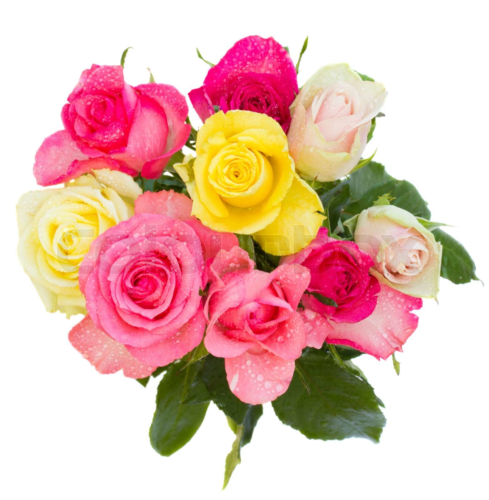 runde Strauß Rosen auf weißem Hintergrund | Stock Bild | Colourbox