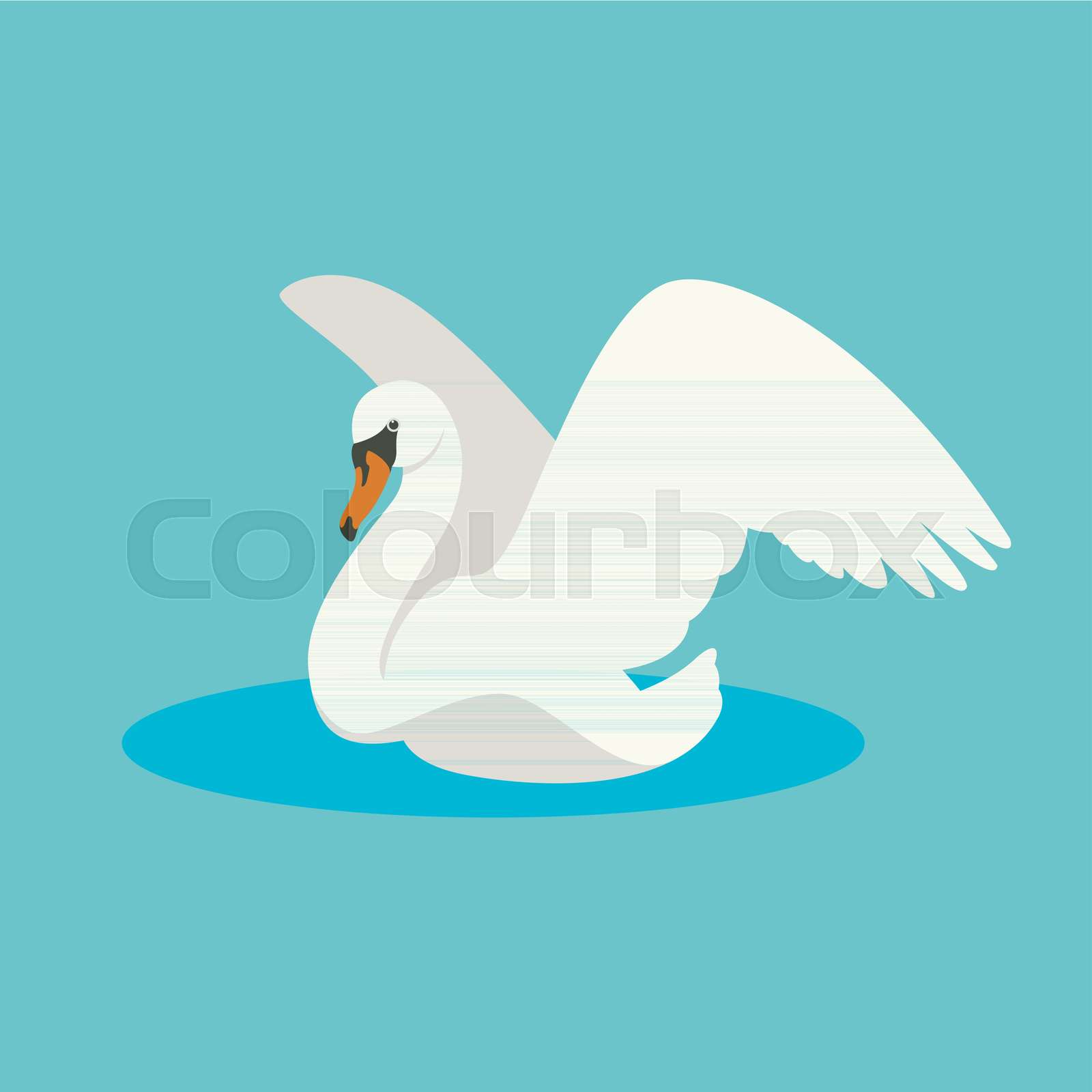 swan vector | Stock vector | Colourbox