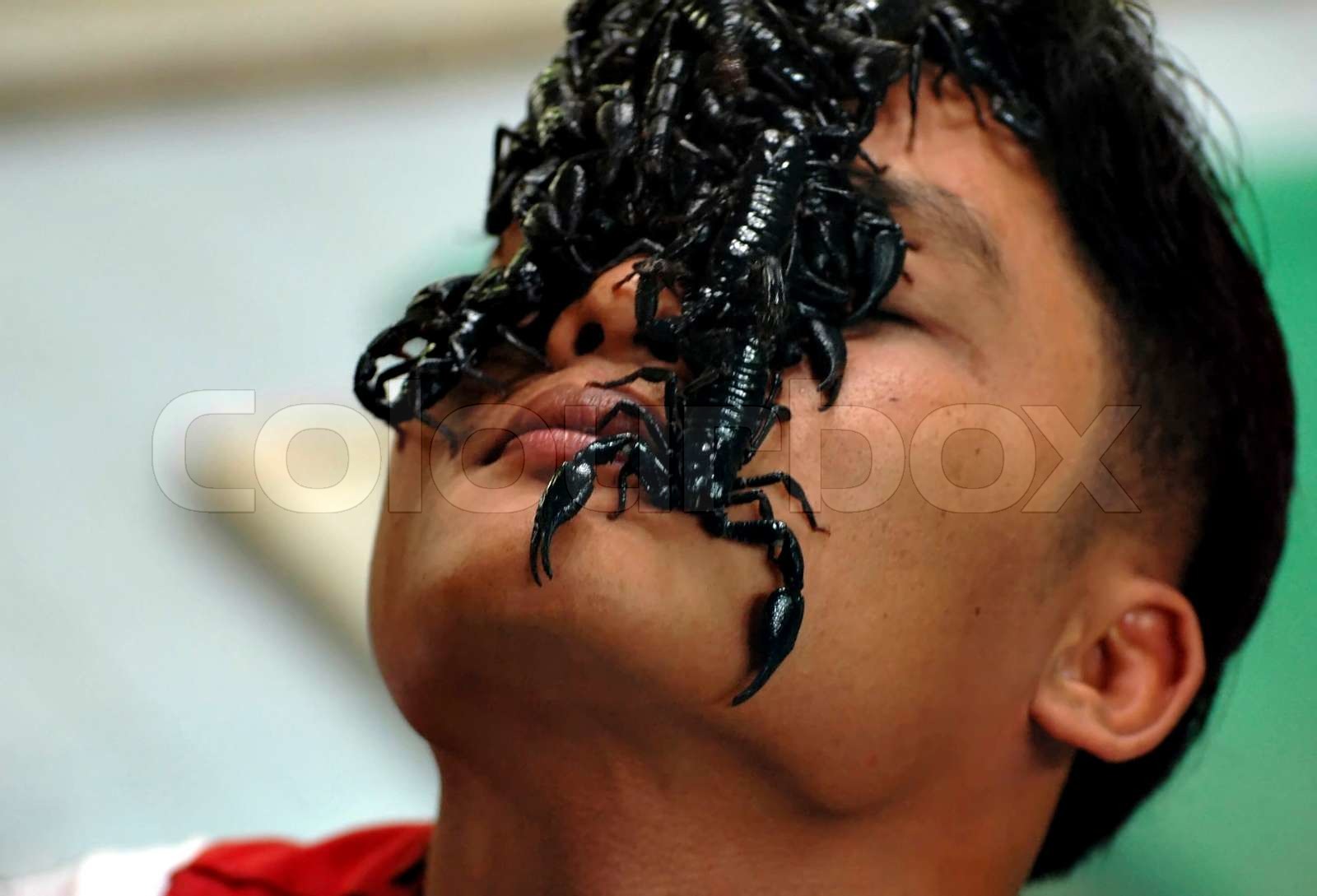 Scorpions man on the face during the show on the island of Koh Samui in ...