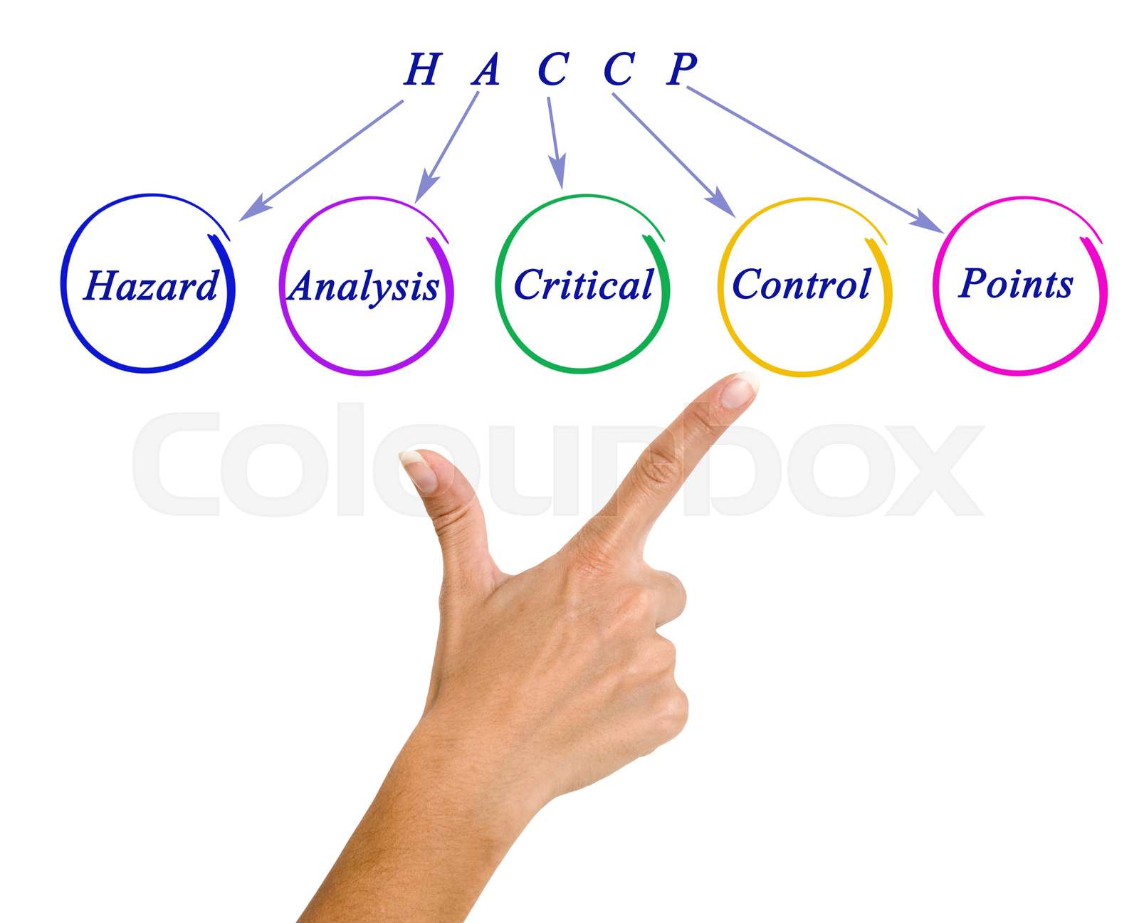 Diagram of HACCP Regulatory Requirements | Stock image | Colourbox