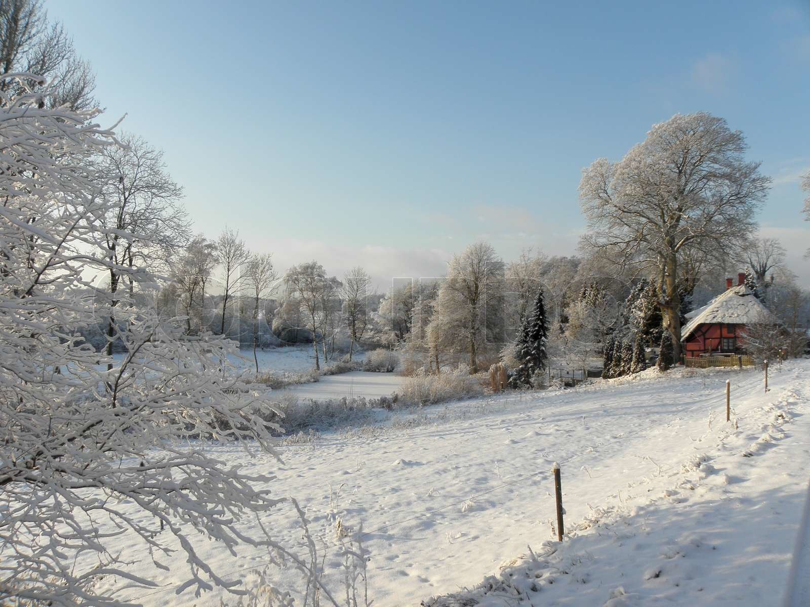 danmark dansk eng fordfyns frost fryse frysepunkt fyn fynsk himmel ...