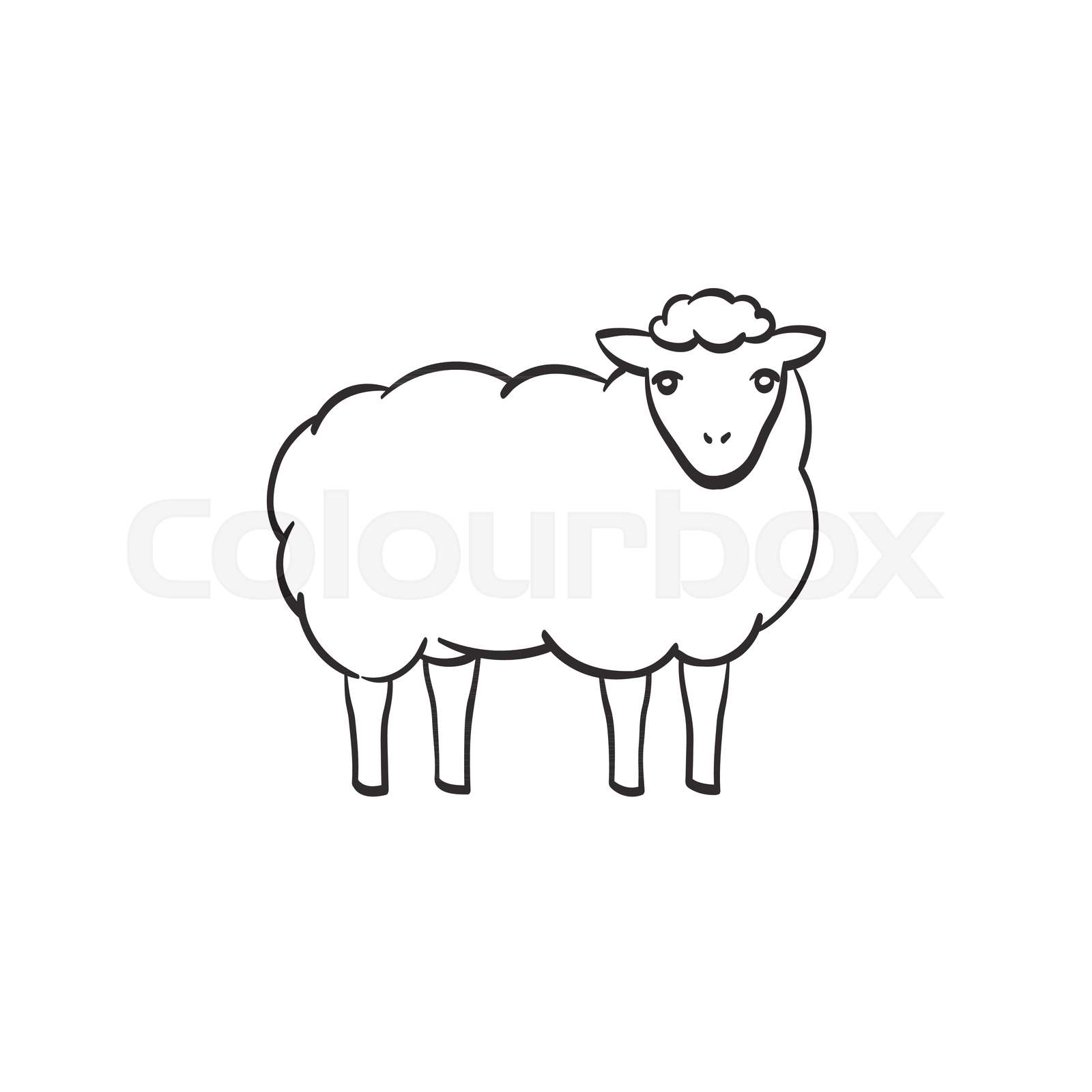 Sheep hand drawn sketch icon. | Stock vector | Colourbox