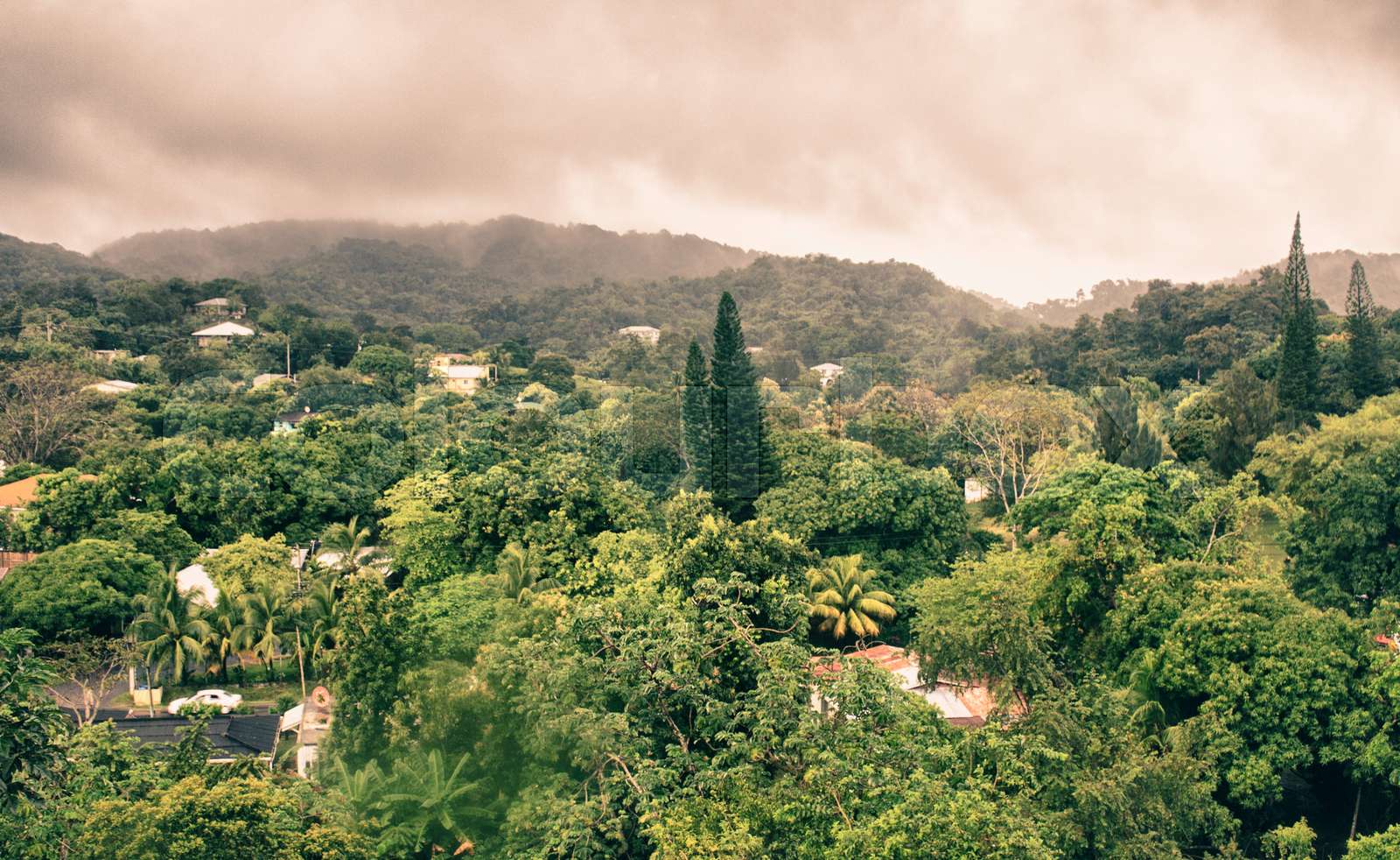 Vegetation and Nature of Honduras | Stock image | Colourbox
