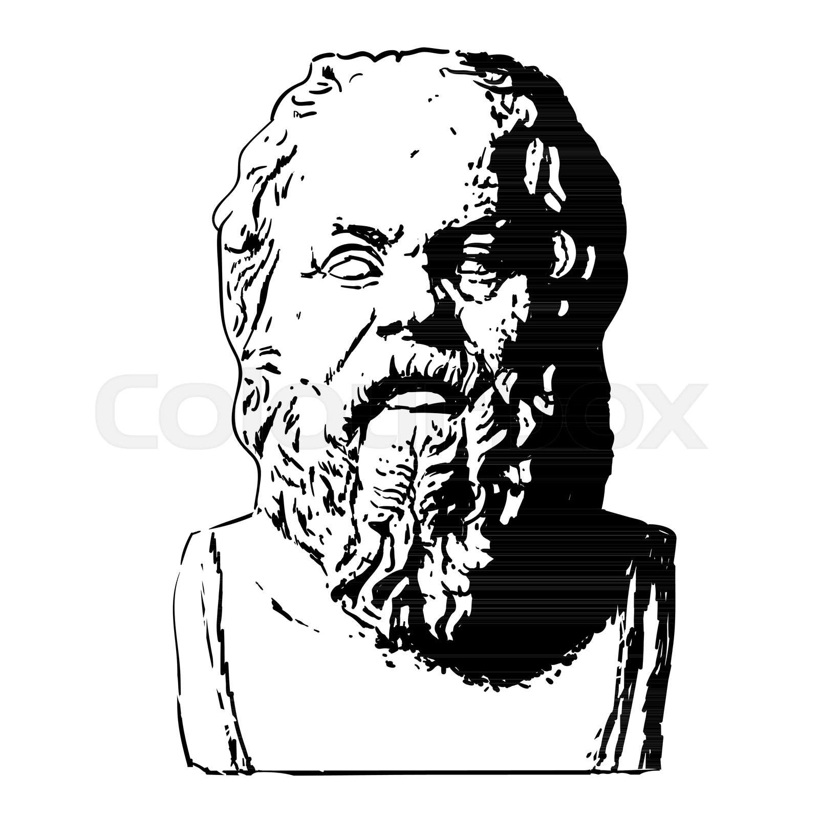 Portrait of Socrates | Stock vector | Colourbox