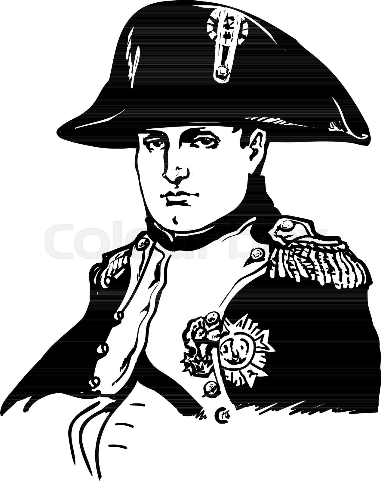 napoleon, bonaparte, frankreich | Stock-Vektor | Colourbox