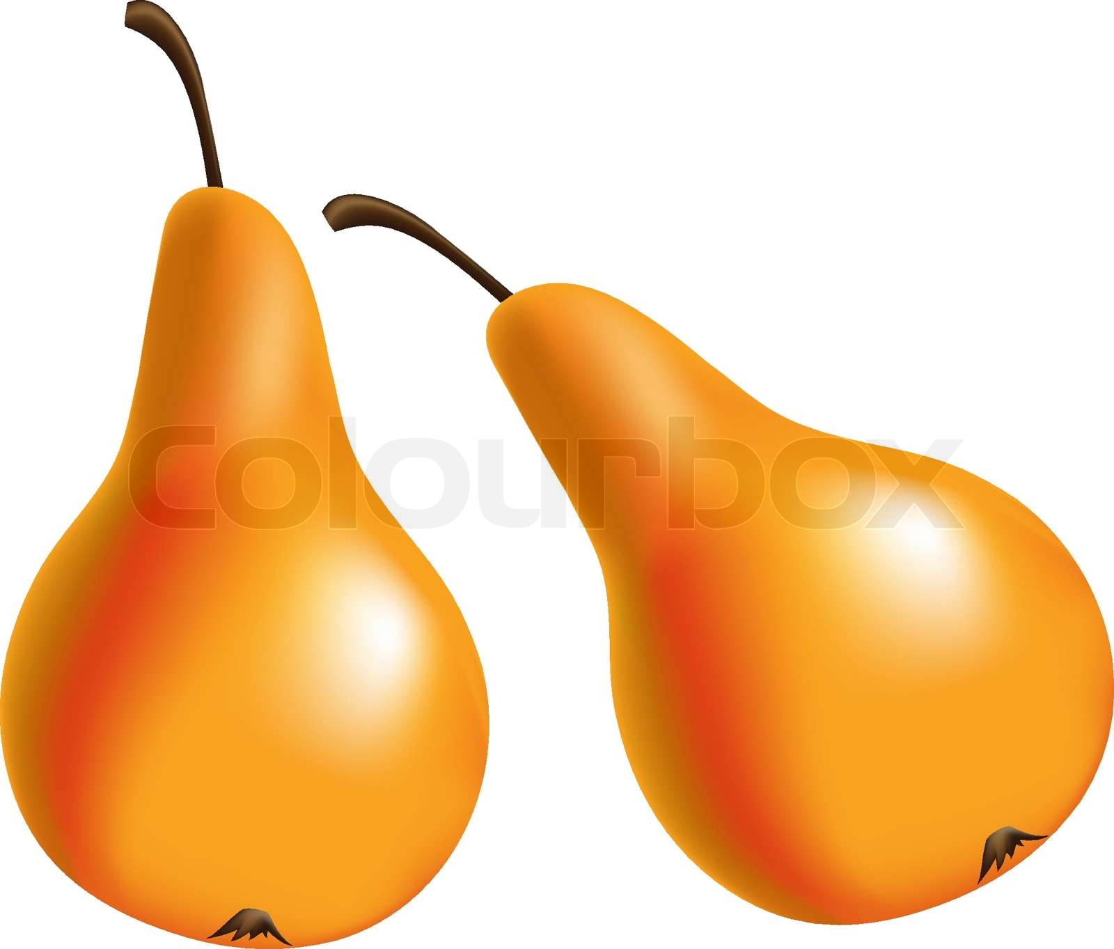 Two pears | Stock vector | Colourbox