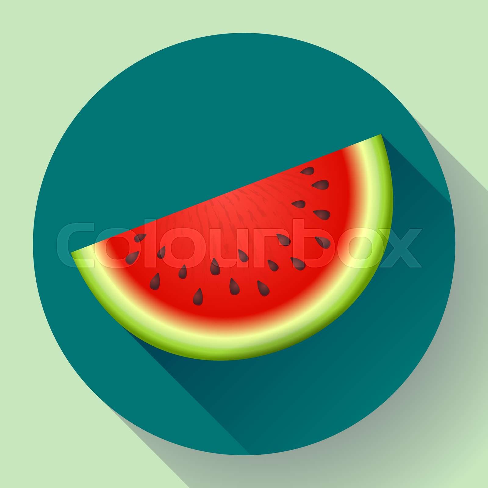 watermelon icon vector | Stock vector | Colourbox