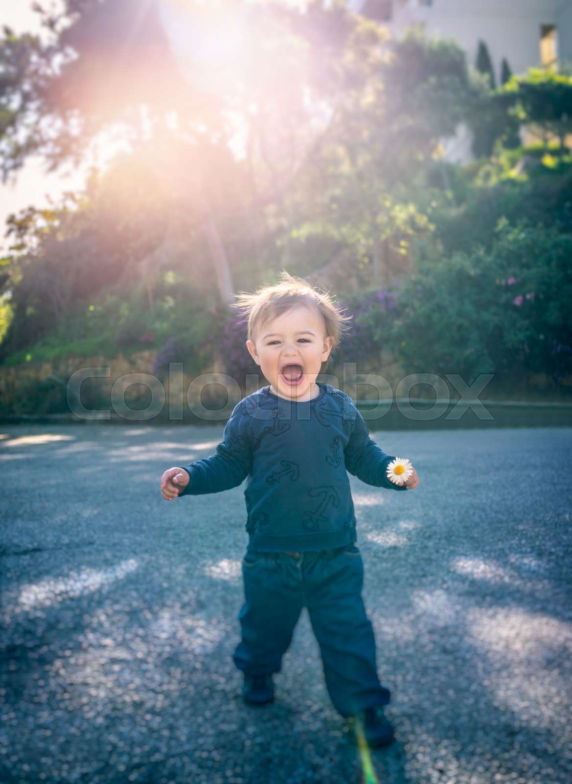 Cute happy little boy | Stock image | Colourbox