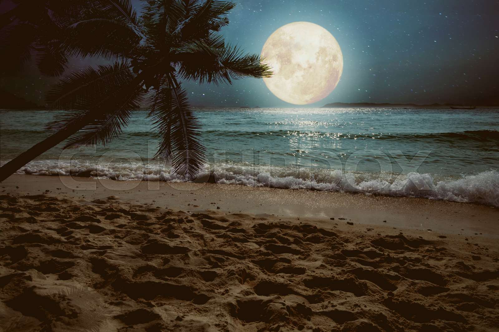 beach at night | Stock image | Colourbox
