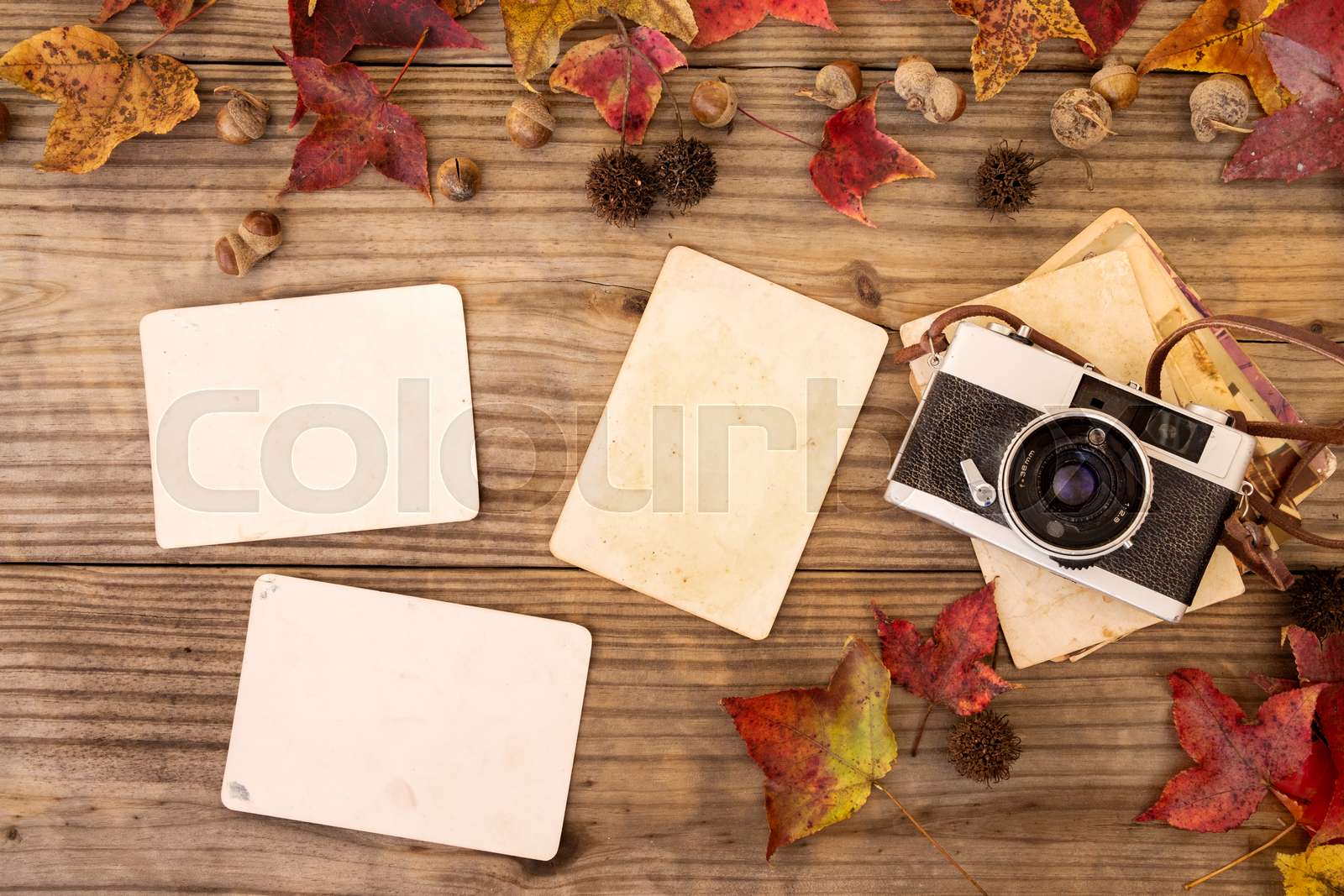 Blank photo album in fall | Stock image | Colourbox