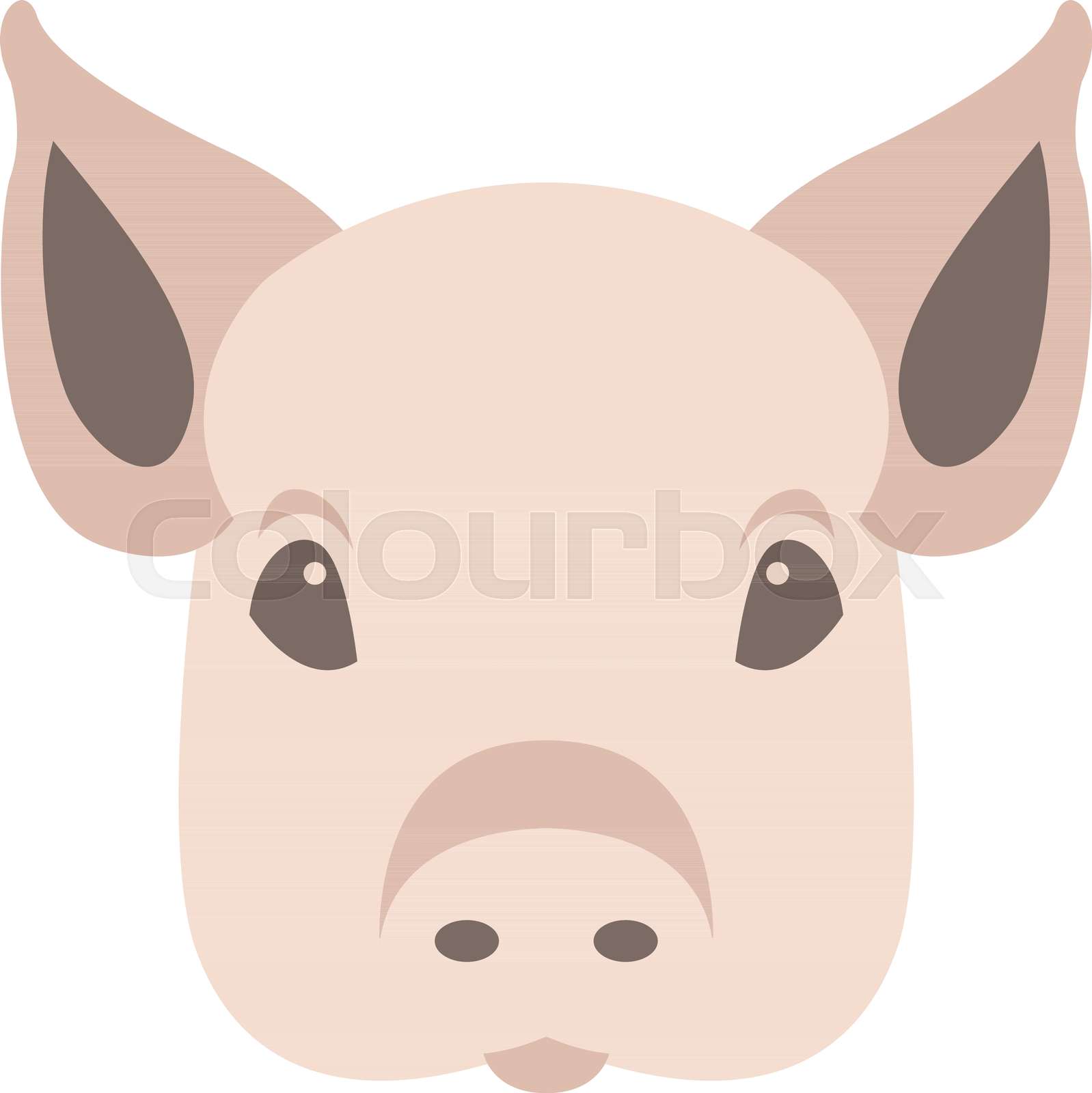 animal pig face | Stock vector | Colourbox
