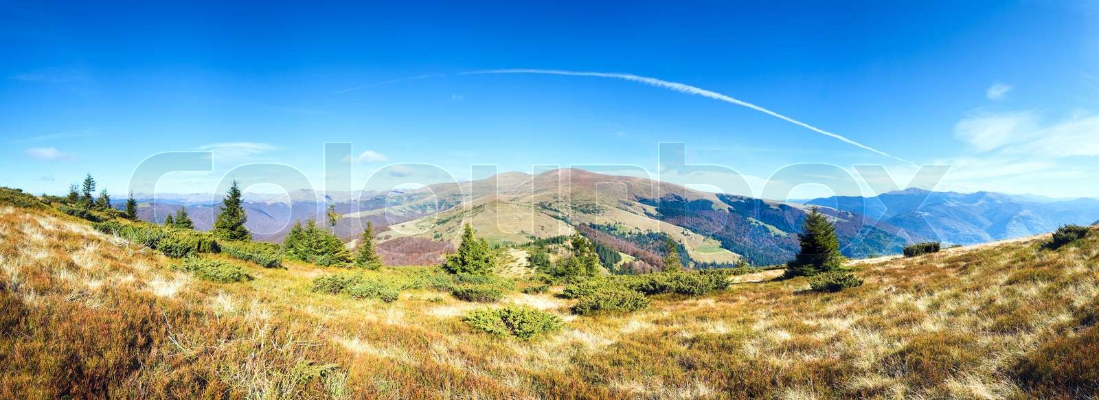 Fem skud søm billede | Stock foto | Colourbox