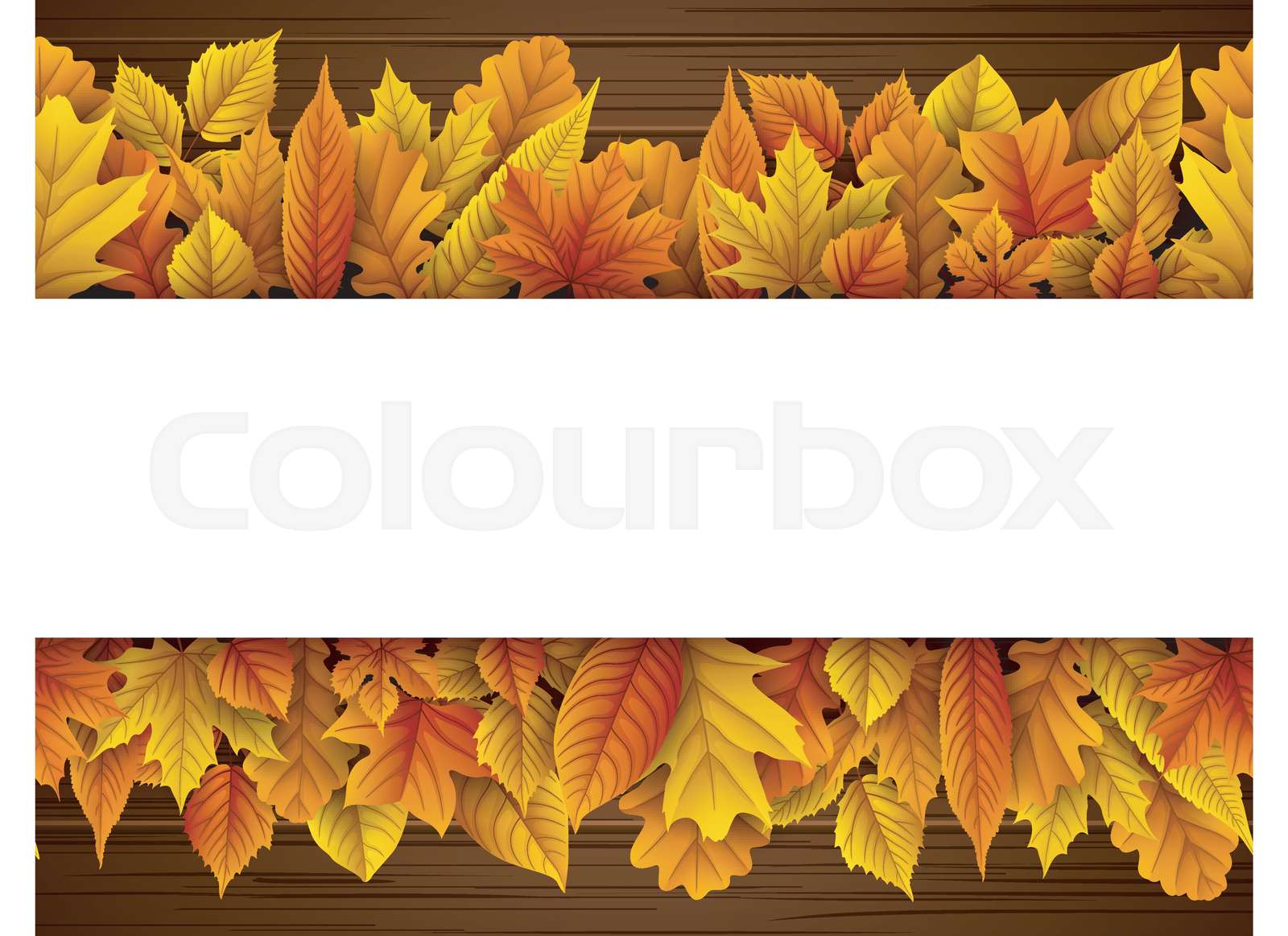 Autumn leaves with blank rectangle | Stock vector | Colourbox