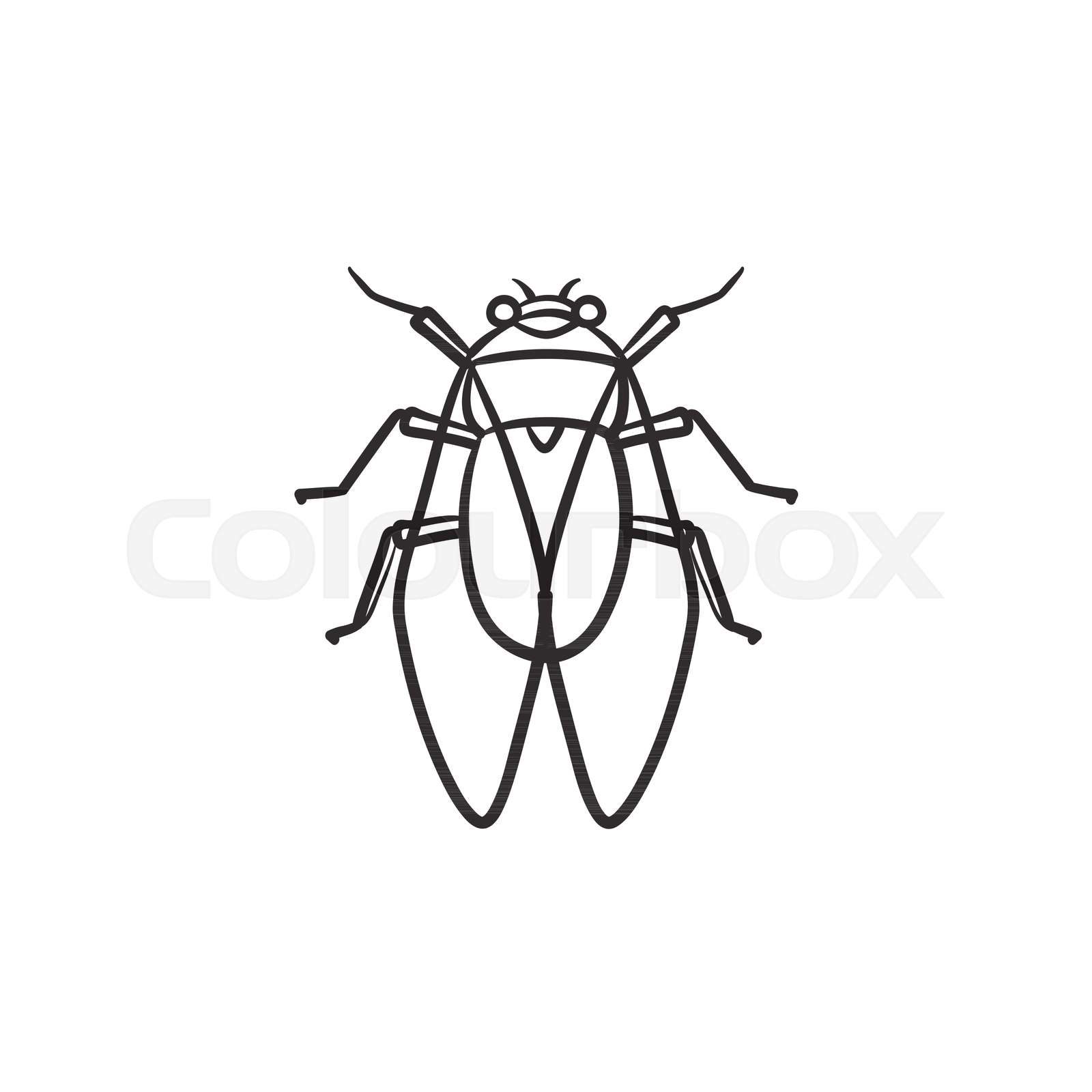 Fly hand drawn sketch icon. | Stock vector | Colourbox