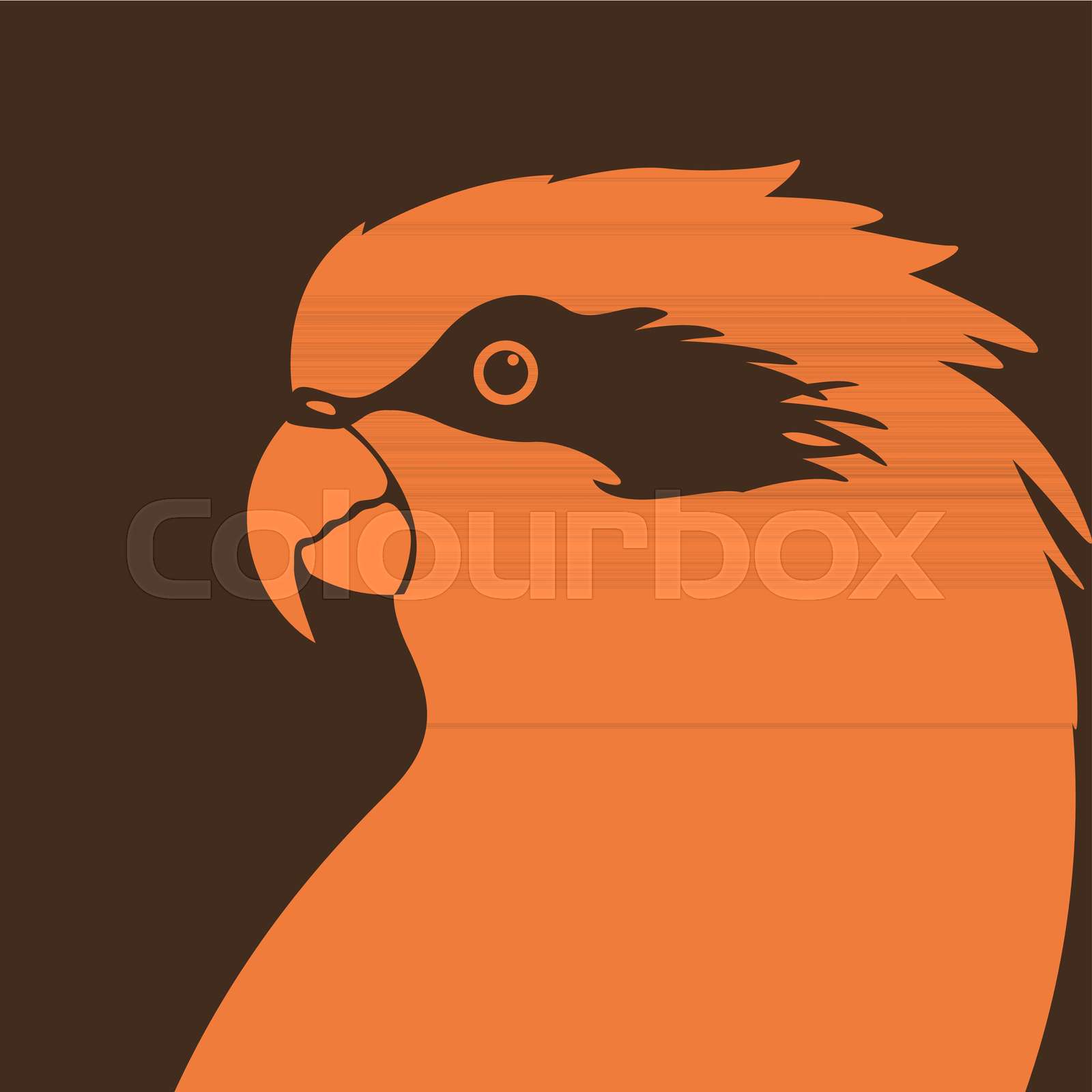 parrot head | Stock vector | Colourbox
