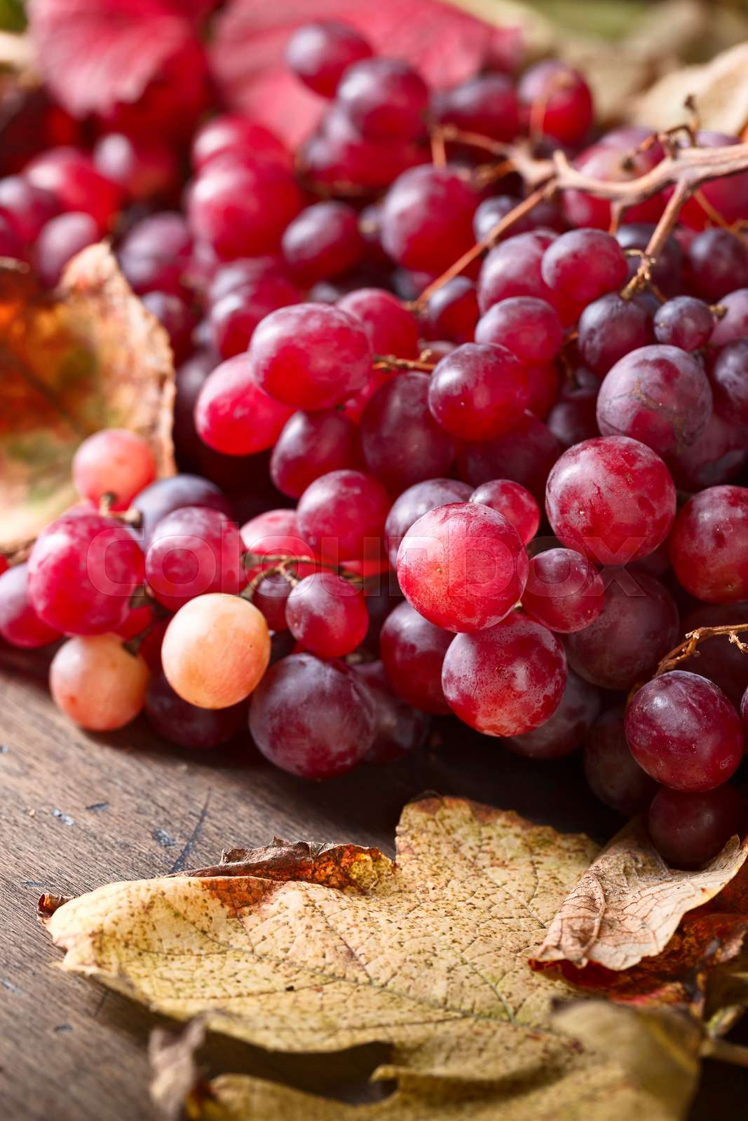 Grapes with grape leaves. | Stock image | Colourbox