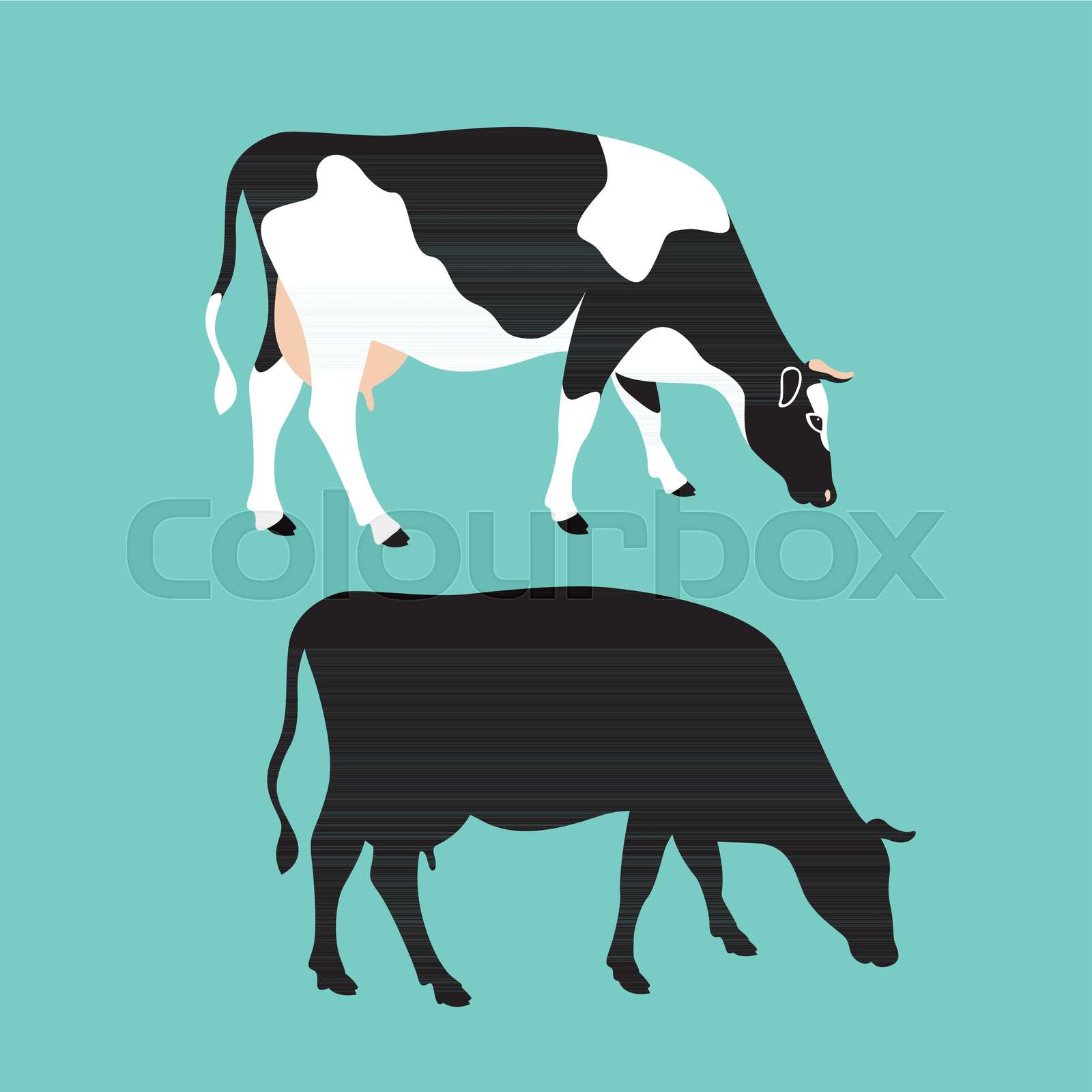 cow vector | Stock vector | Colourbox