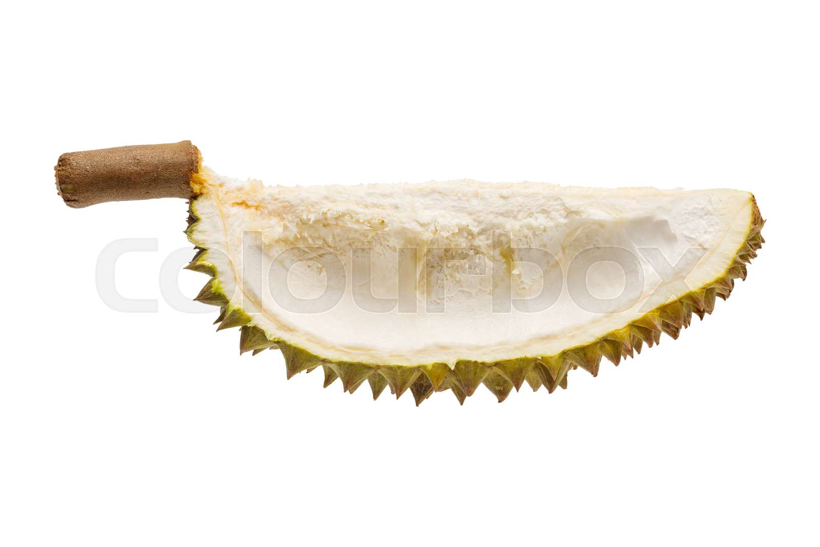 Durian fruit shell isolated | Stock image | Colourbox