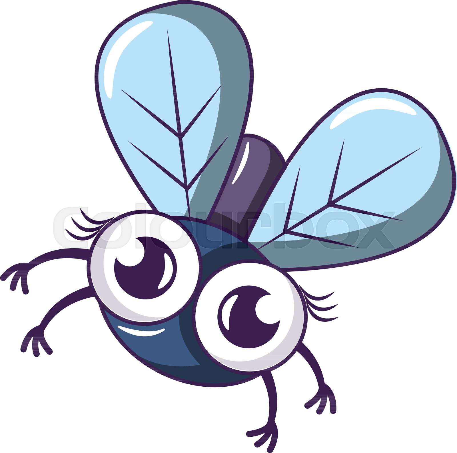 flue, tegning, insekt | Stock vektor | Colourbox