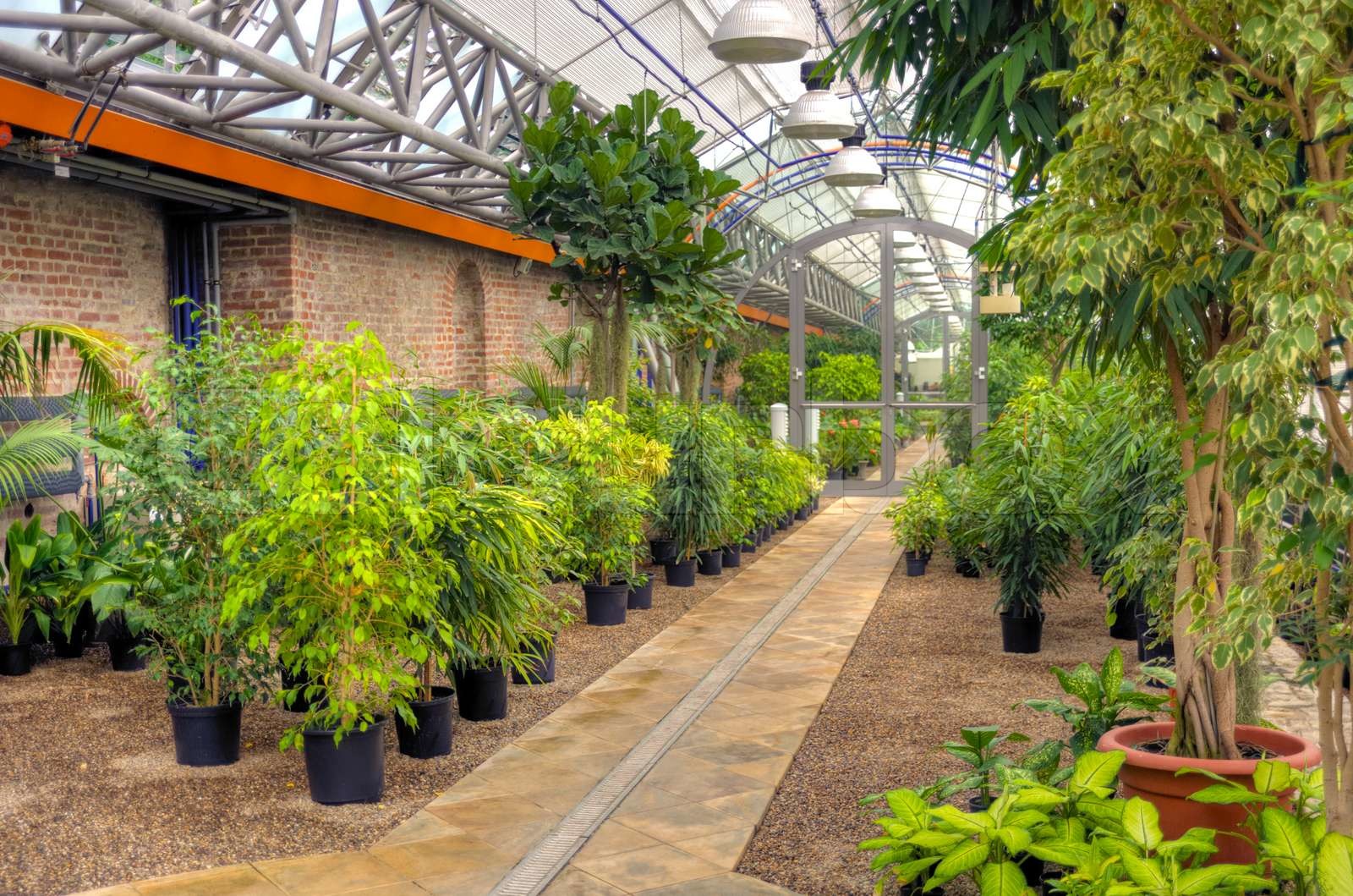 Blomster i moderne drivhus - potteplanter | Stock foto | Colourbox