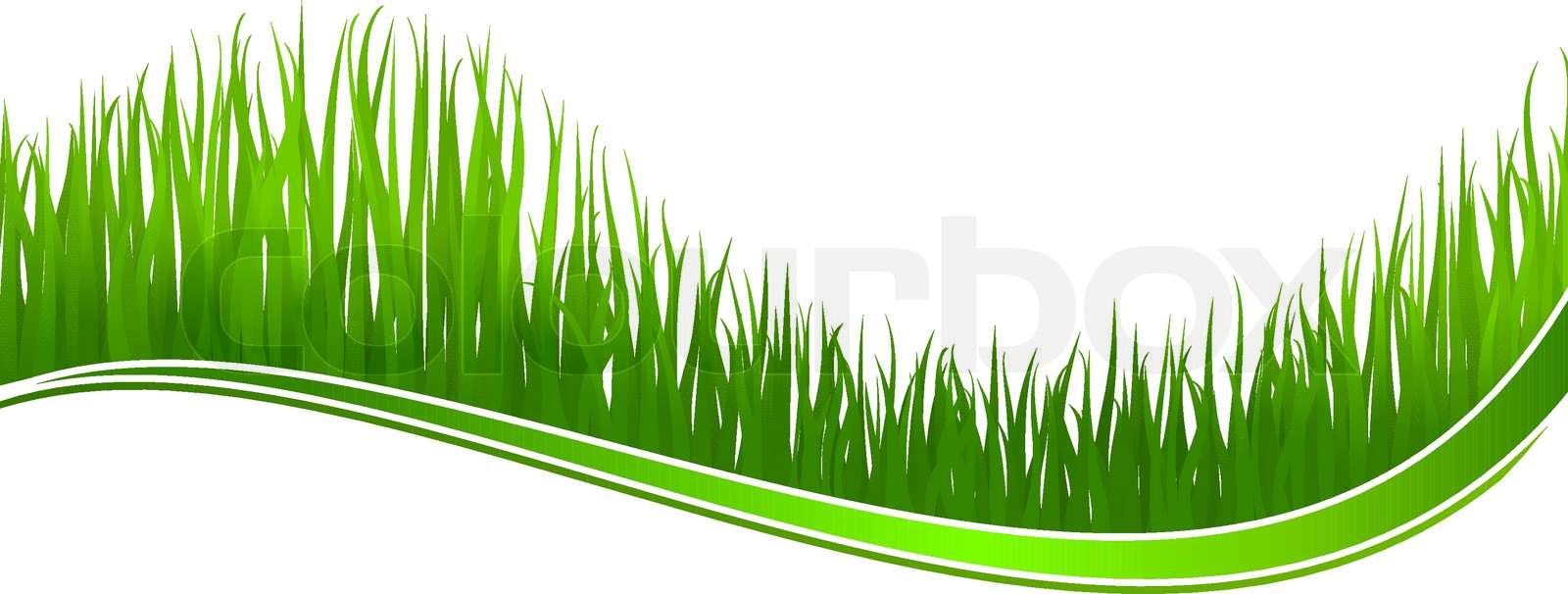 Green grass wave for spring or nature design | Stock vector | Colourbox