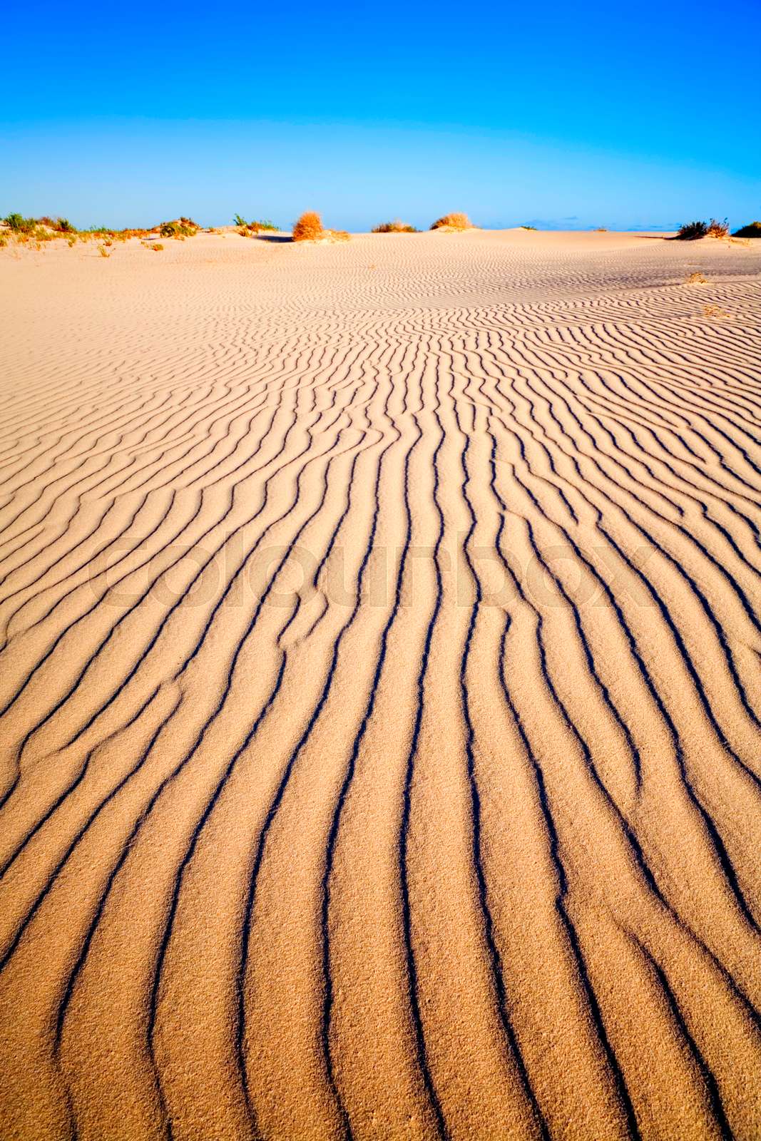 Sand Dunes at Eucla | Stock image | Colourbox