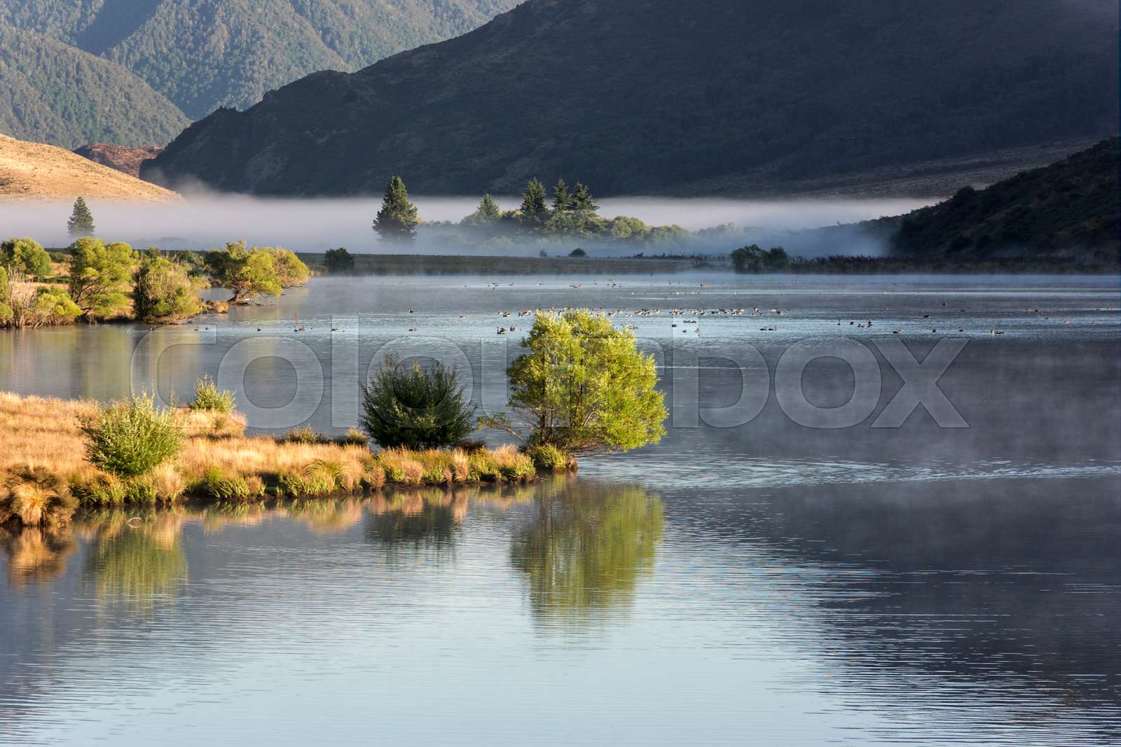 New Zealand Lake Grasmere | Stock image | Colourbox