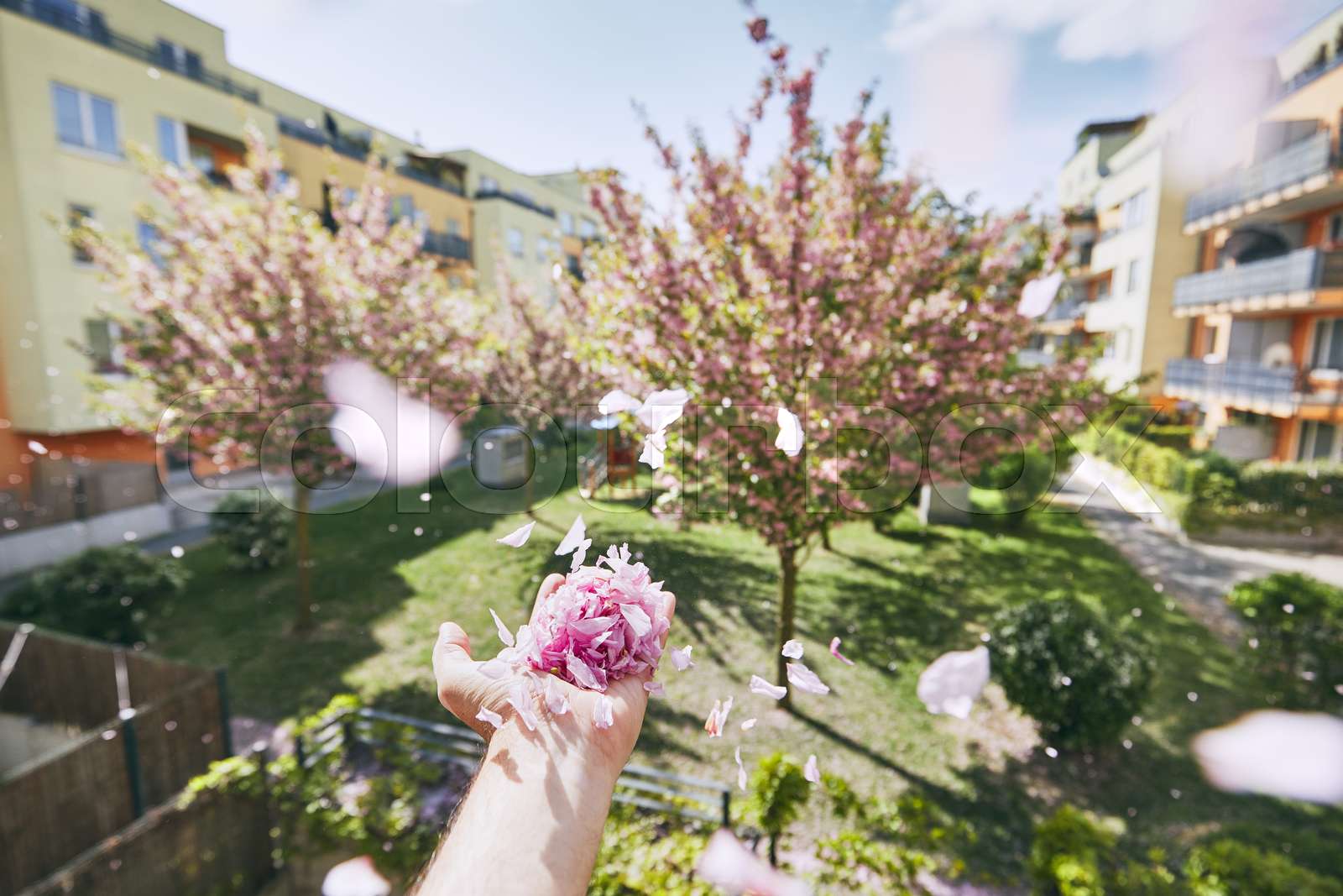 Windy spring day | Stock image | Colourbox