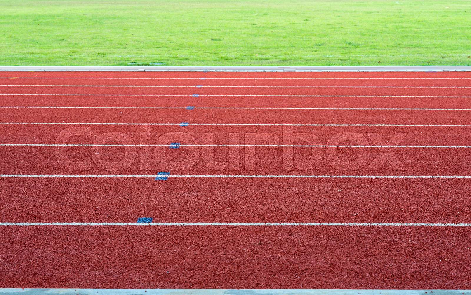 Track Lane with grass | Stock image | Colourbox