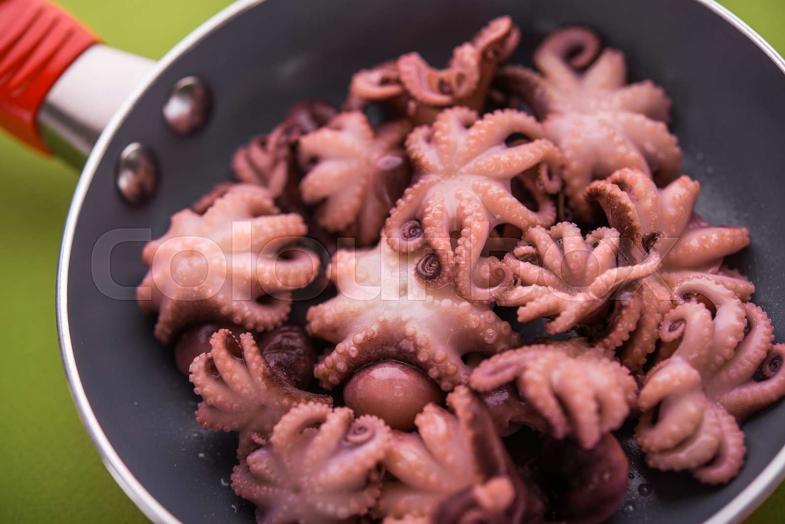 Small pickled octopus | Stock image | Colourbox