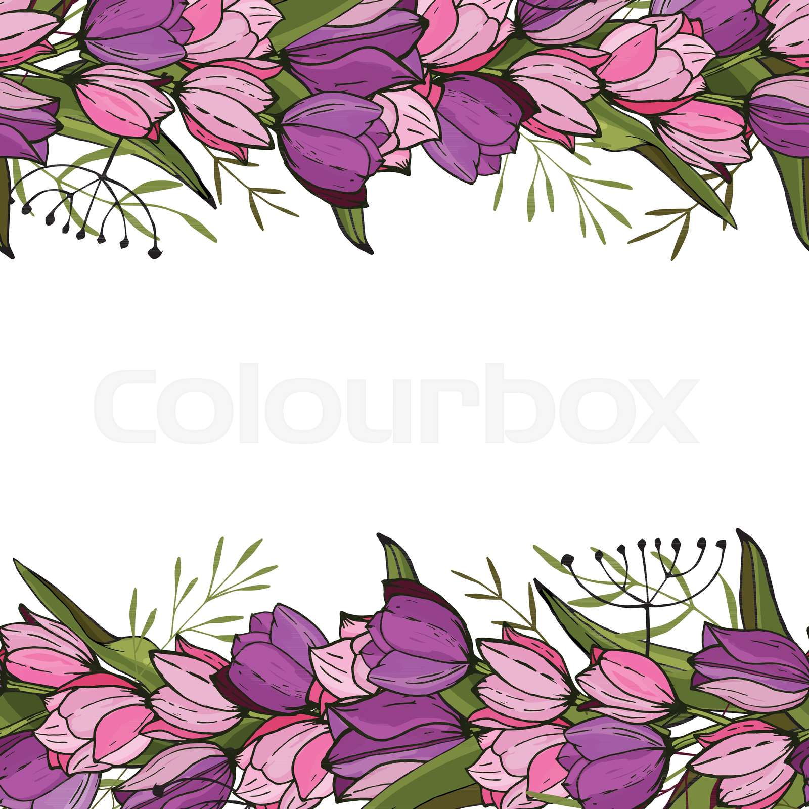 Tulips Flower Border Design