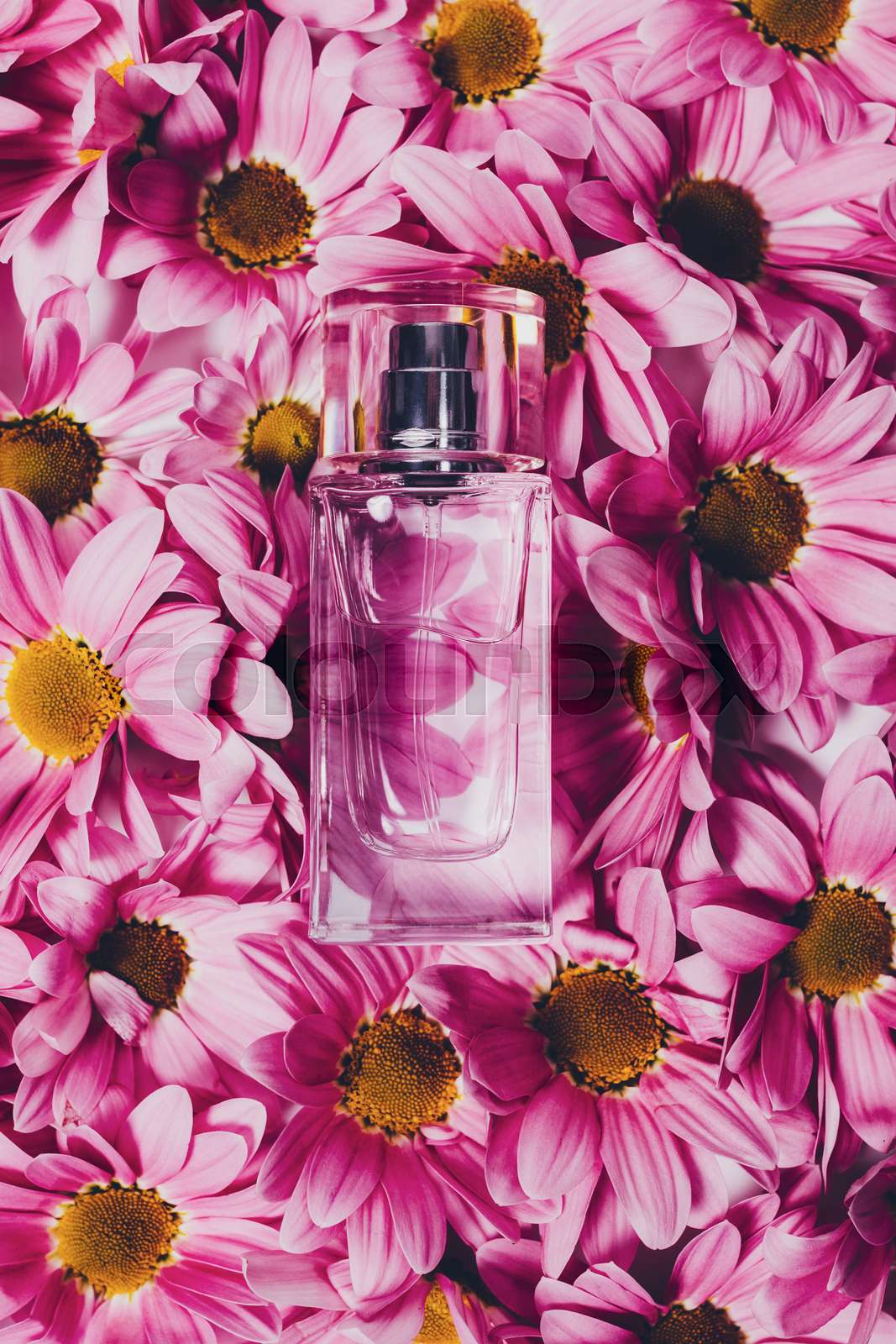 Vertical image of transparent perfume bottle | Stock image | Colourbox