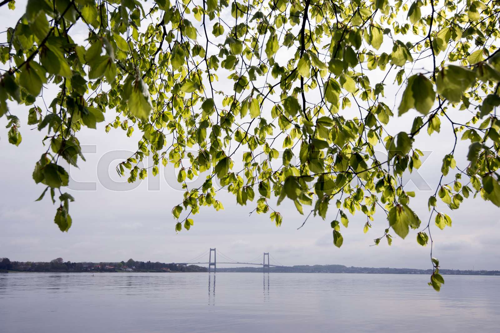 Springtime Little Belt in Denmark | Stock image | Colourbox