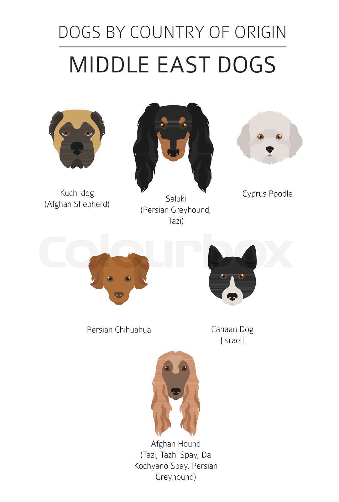 Dogs by country of origin. Near East dog breeds, persian dogs ...
