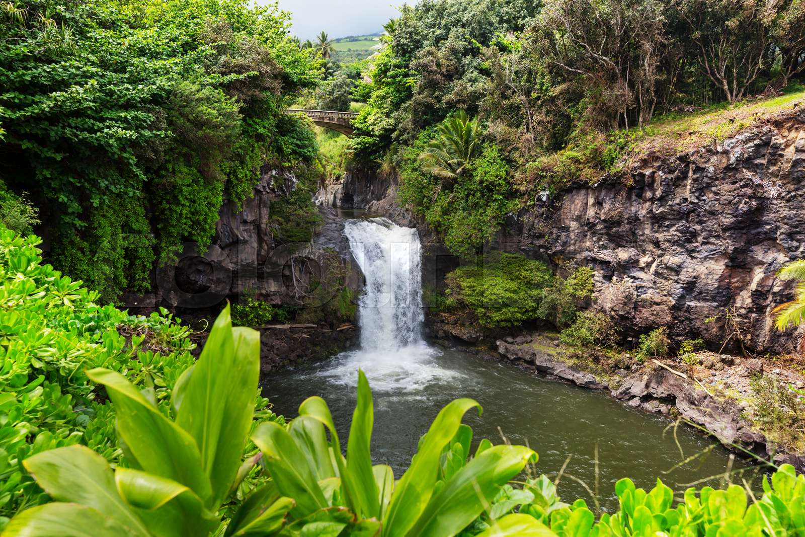 Waterfall on Hawaii | Stock image | Colourbox