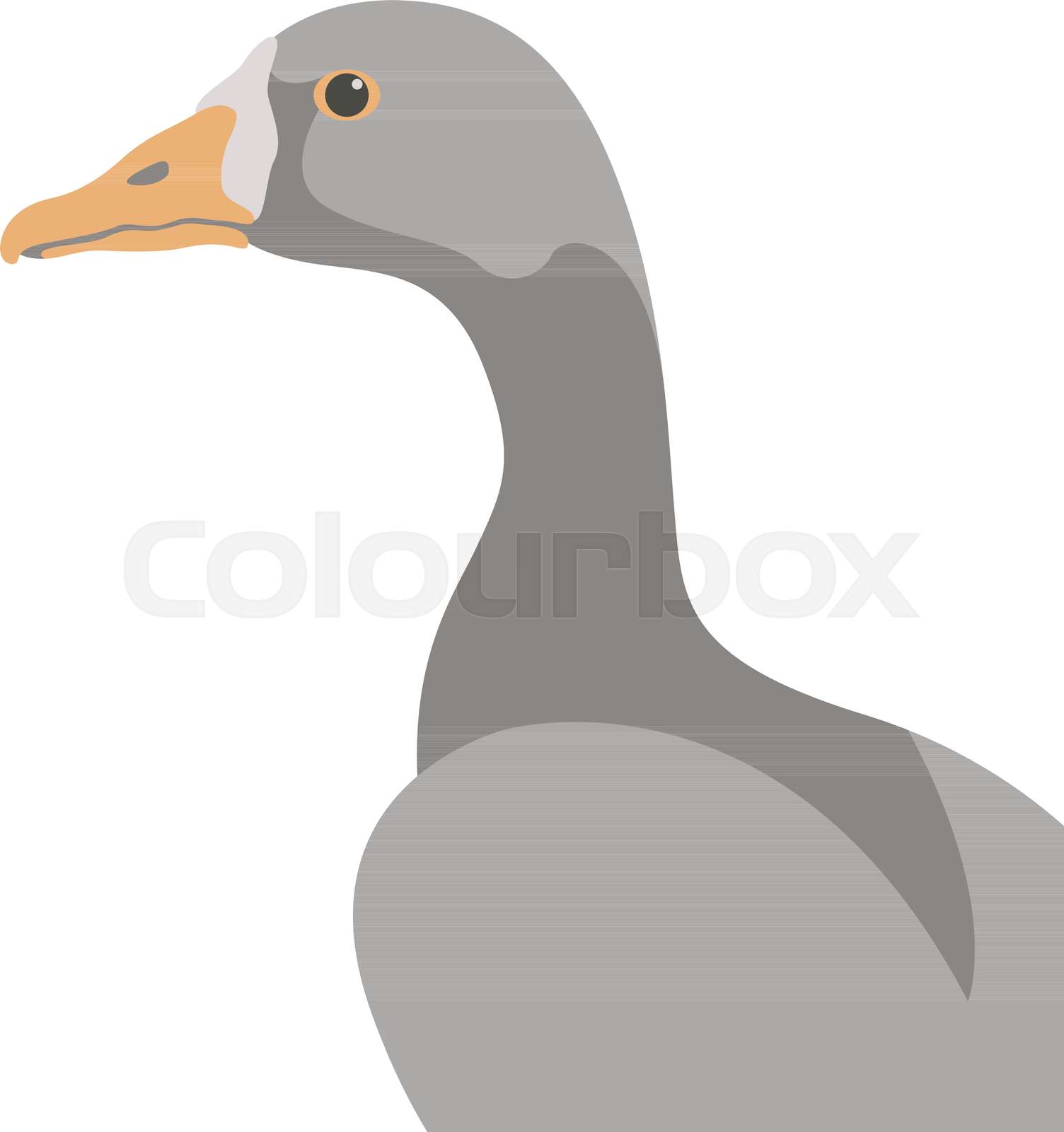 goose bird vector illustration flat style profile | Stock vector ...
