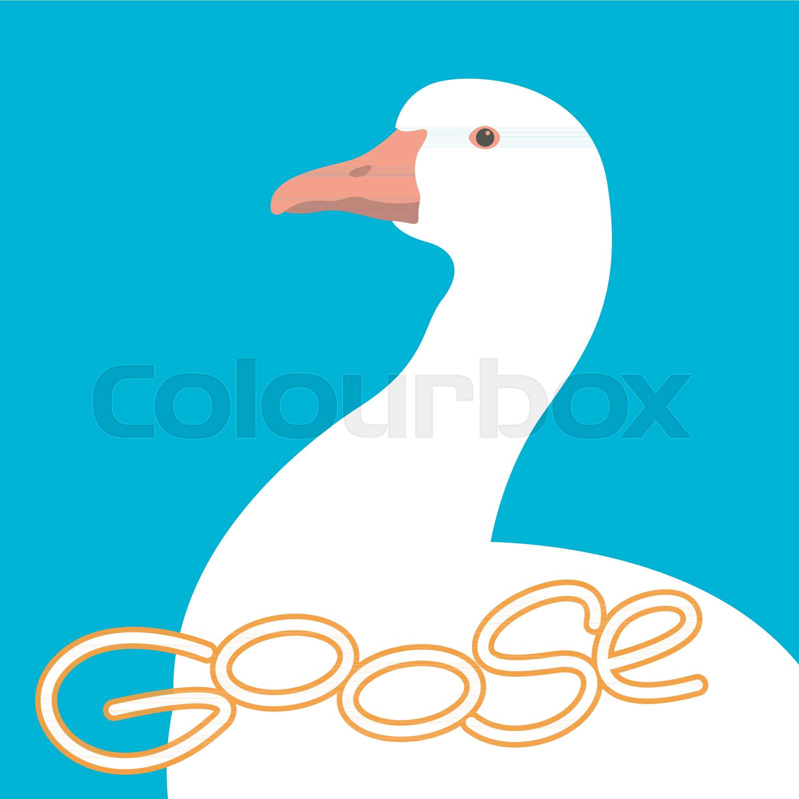 goose bird vector | Stock vector | Colourbox