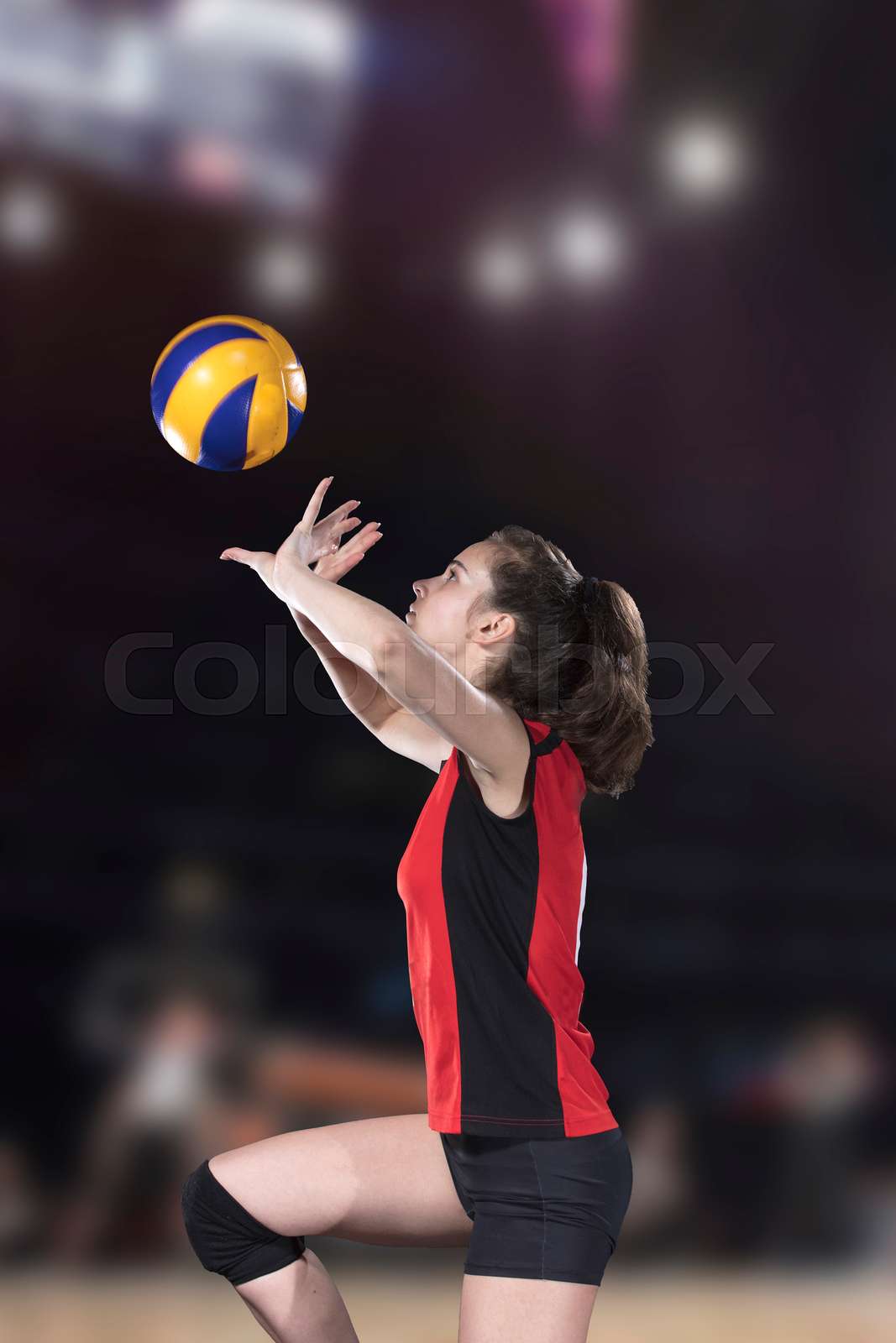 Female professional volleyball player on volleyball court | Stock image ...
