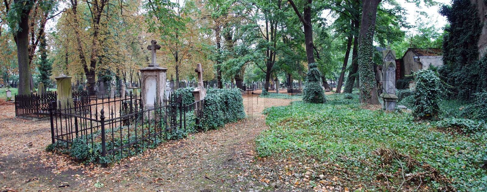 old historic cemetery Olsany in Prague | Stock image | Colourbox