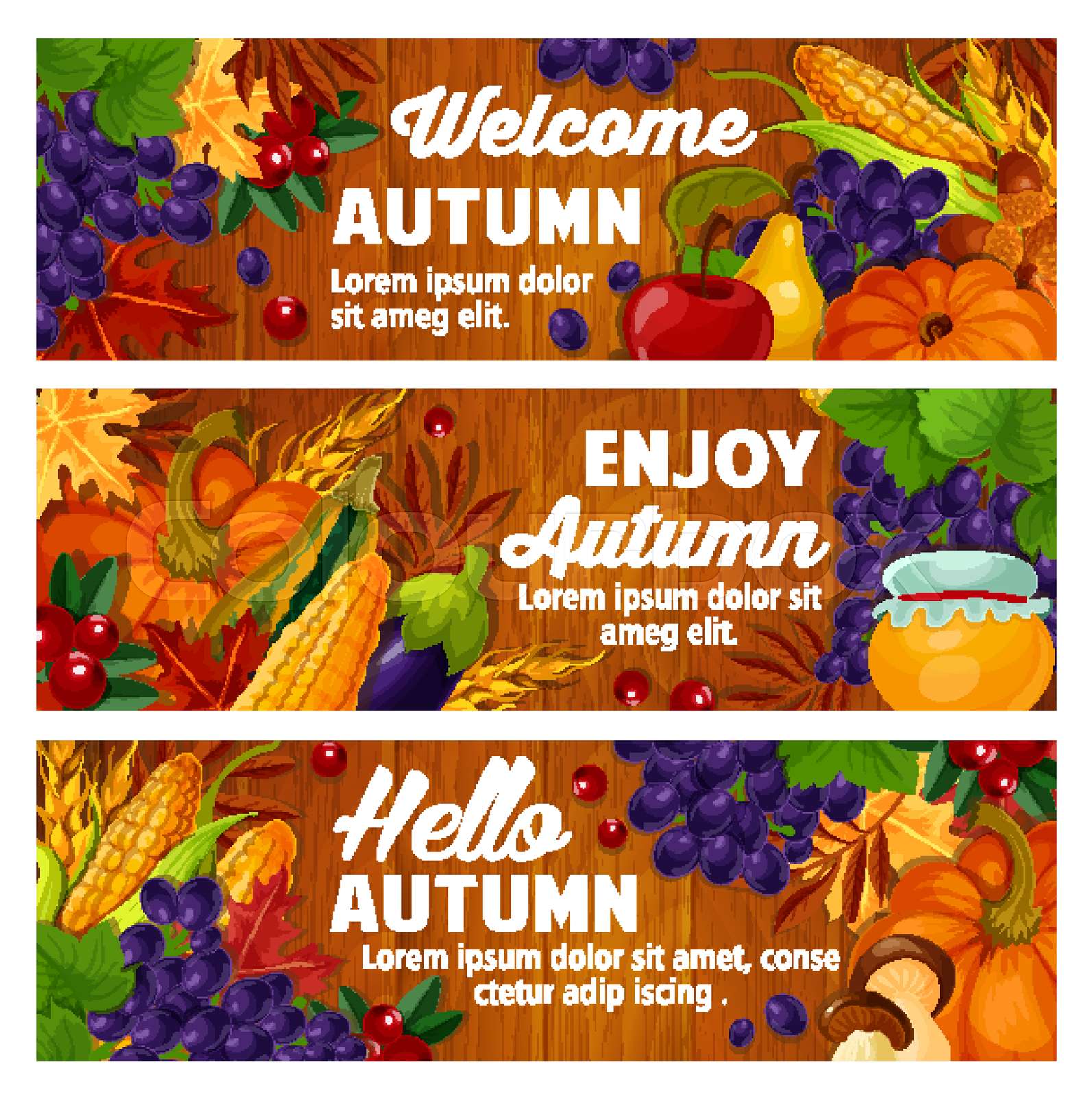 Autumn vector fall harvest and leaves banners | Stock vector | Colourbox