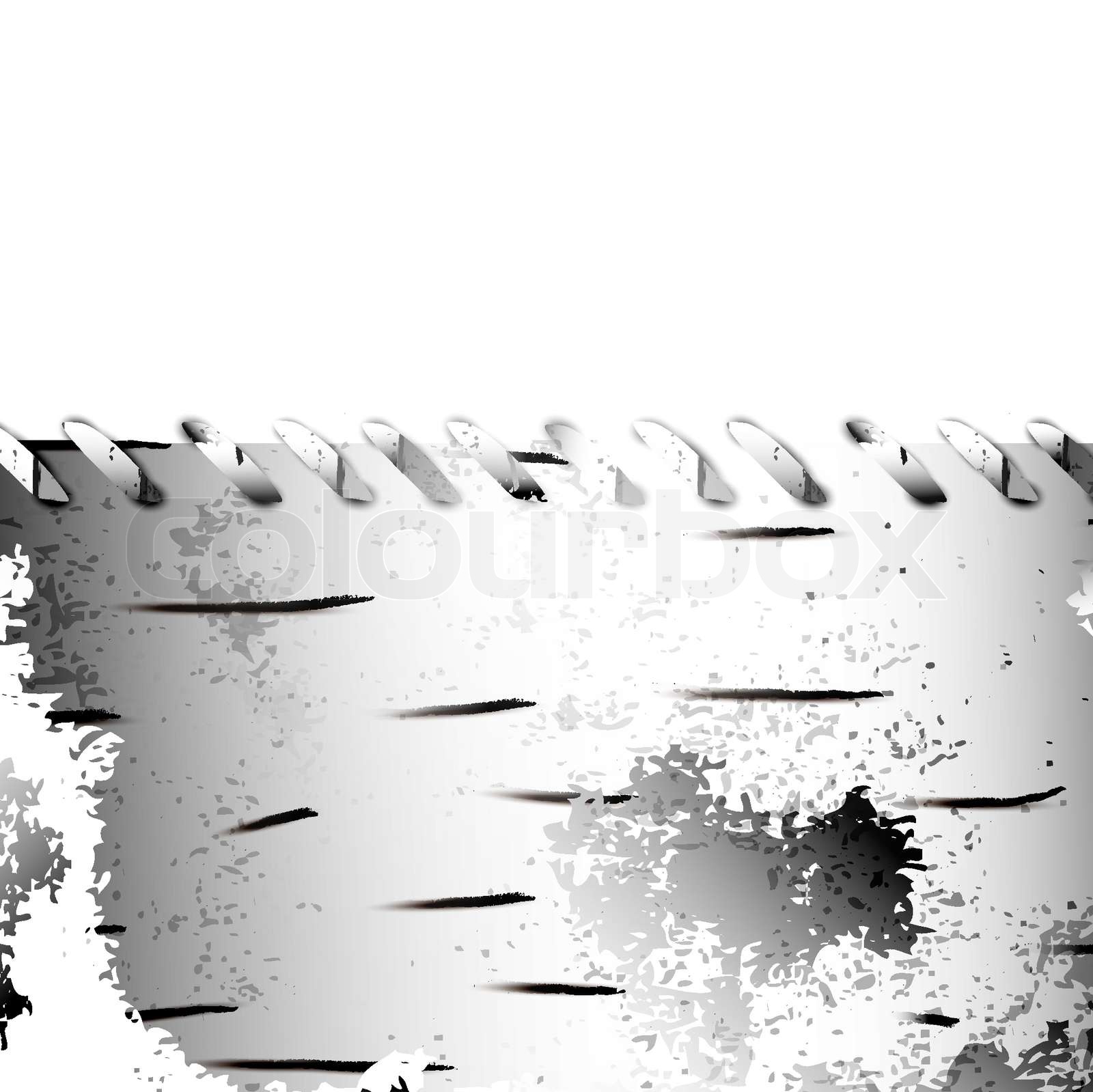 bark birch frame in black and white, copyspace for your text | Stock ...