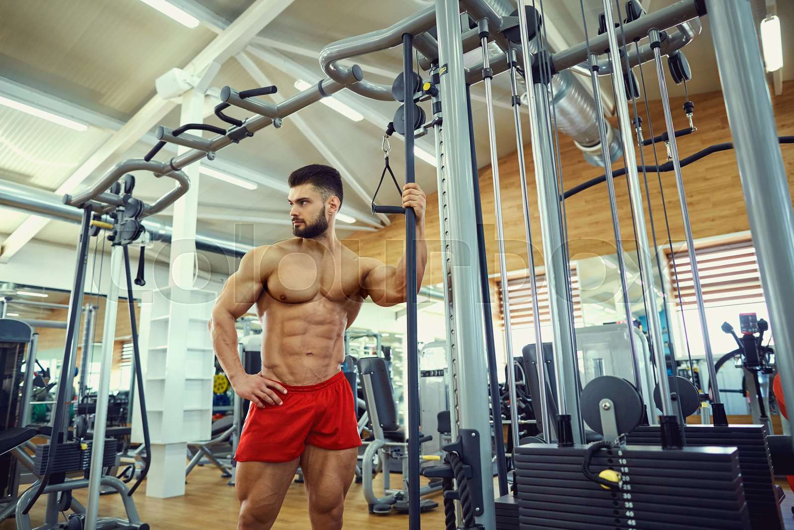 Bodybuilder man posing in the gym | Stock image | Colourbox
