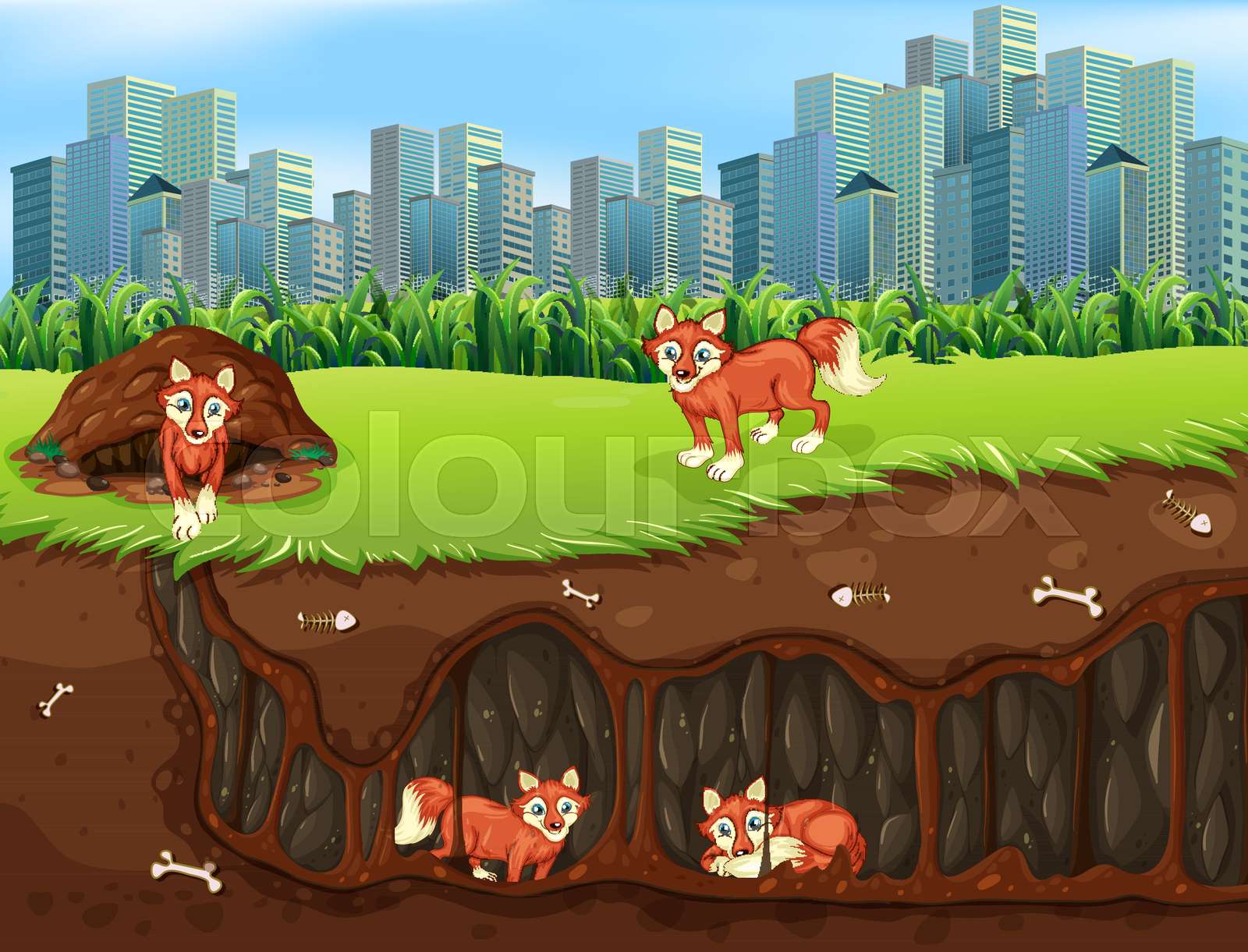 A Fox Family Living Underground | Stock vector | Colourbox