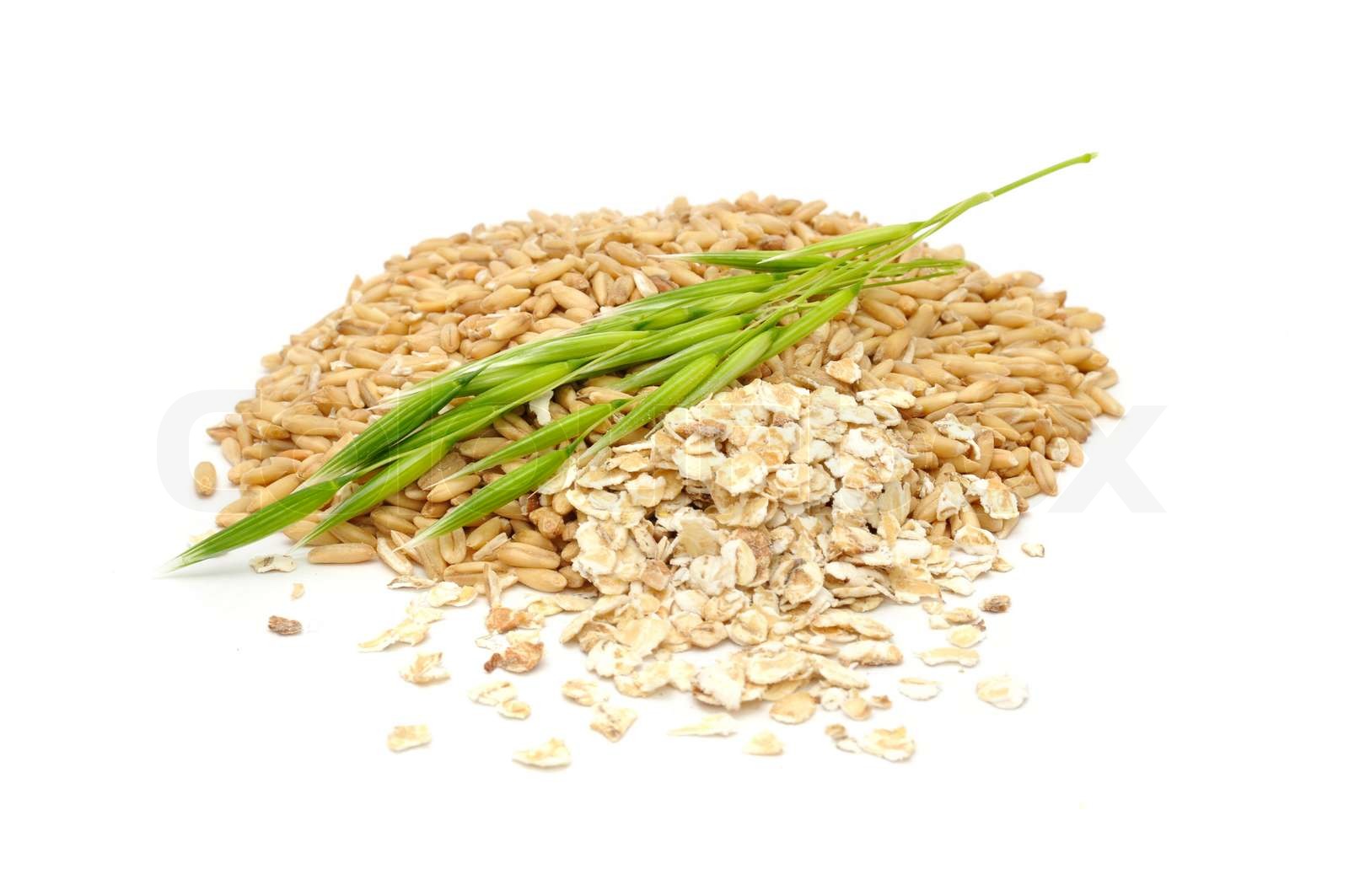 Oat Grains, Oat Flakes and Ear of Oats Isolated on White Background ...