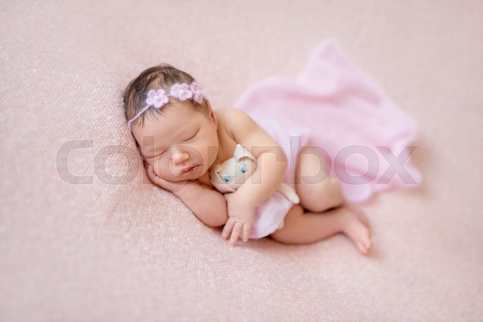 Sleeping Newborn Baby Girl Stock Image Colourbox