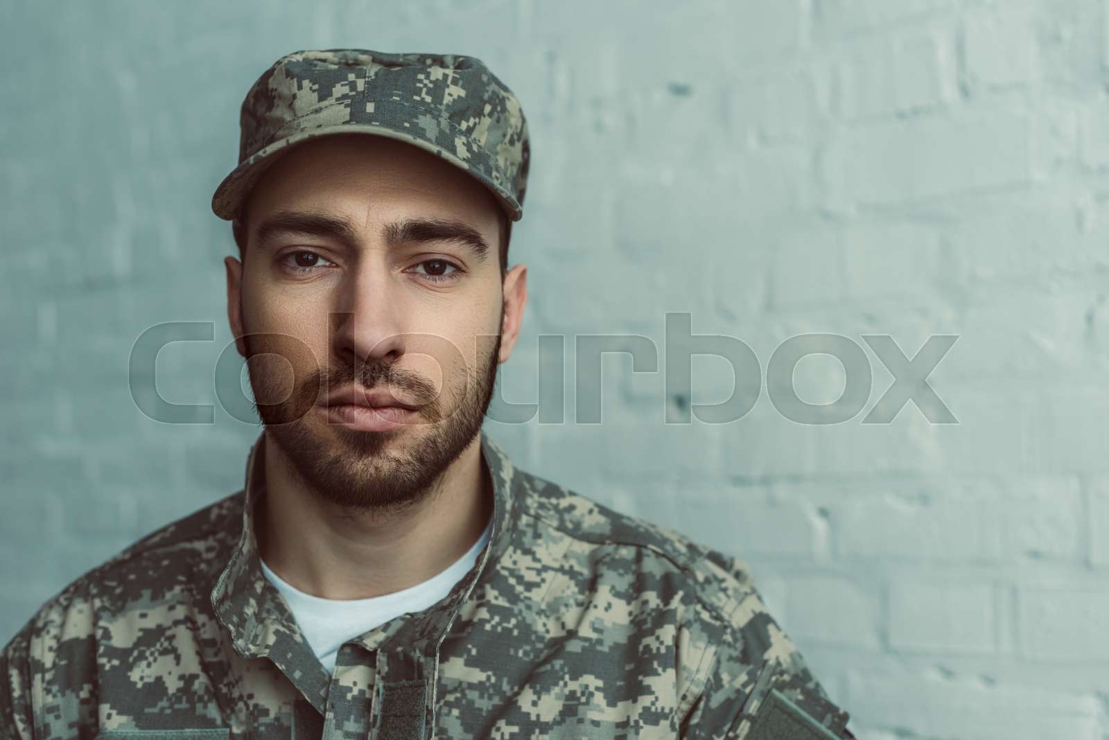 portrait of soldier in military uniform looking at camera against white ...