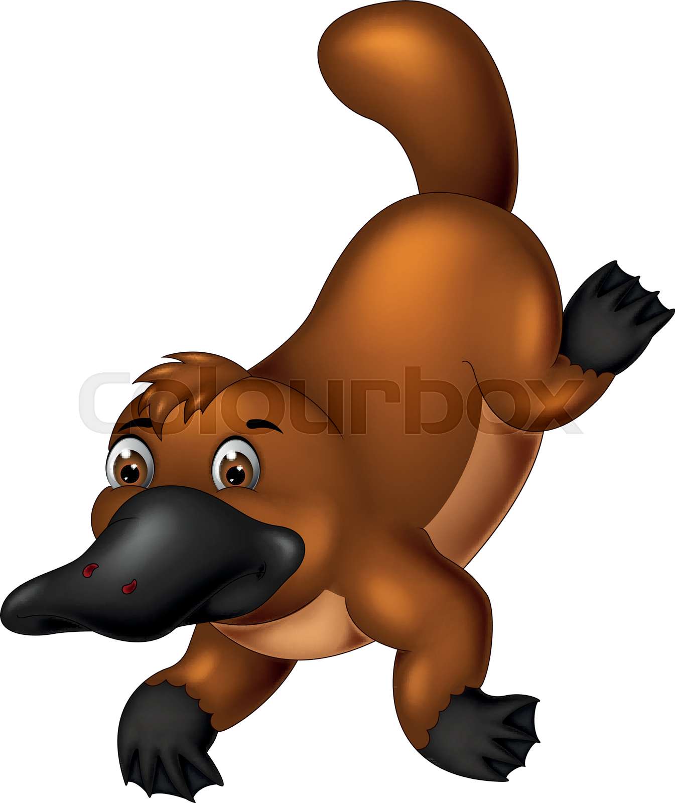 funny platypus cartoon crawl with smile and waving | Stock vector ...